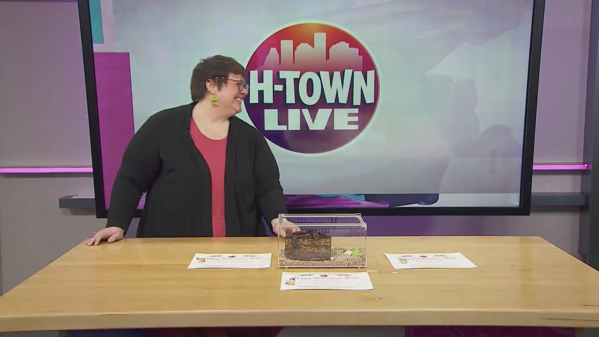 “Endless Love” Valentine’s Day with Hissing Cockroaches at the Houston ...