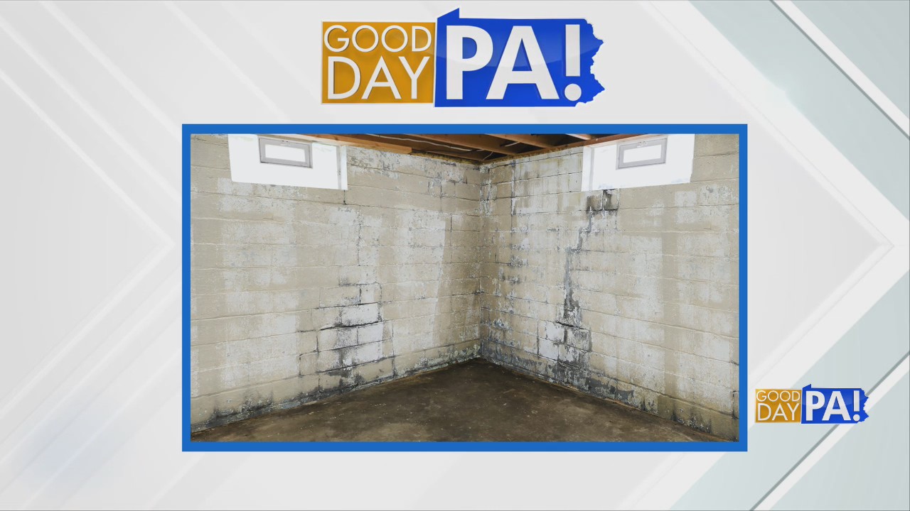 Bakers Waterproofing – ABC27