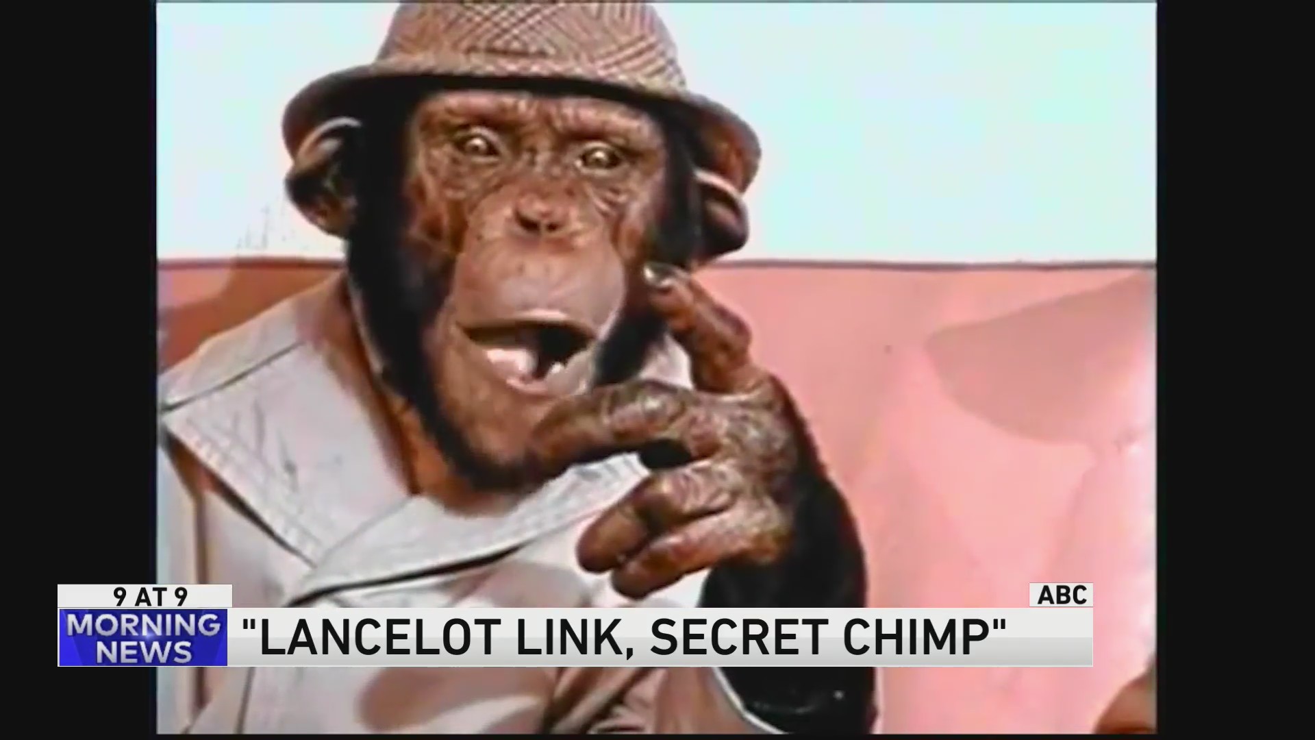 One season wonder ‘Lancelot Link, Secret Chimp’ – WGN-TV