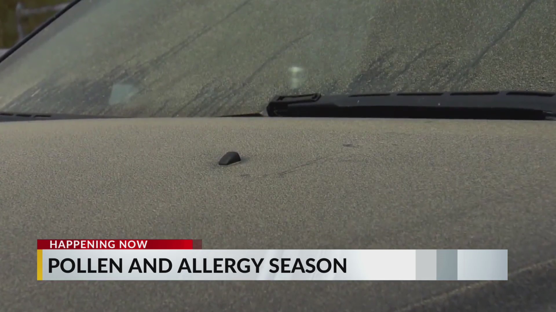 Pollen and allergy season across the Triangle – CBS17.com