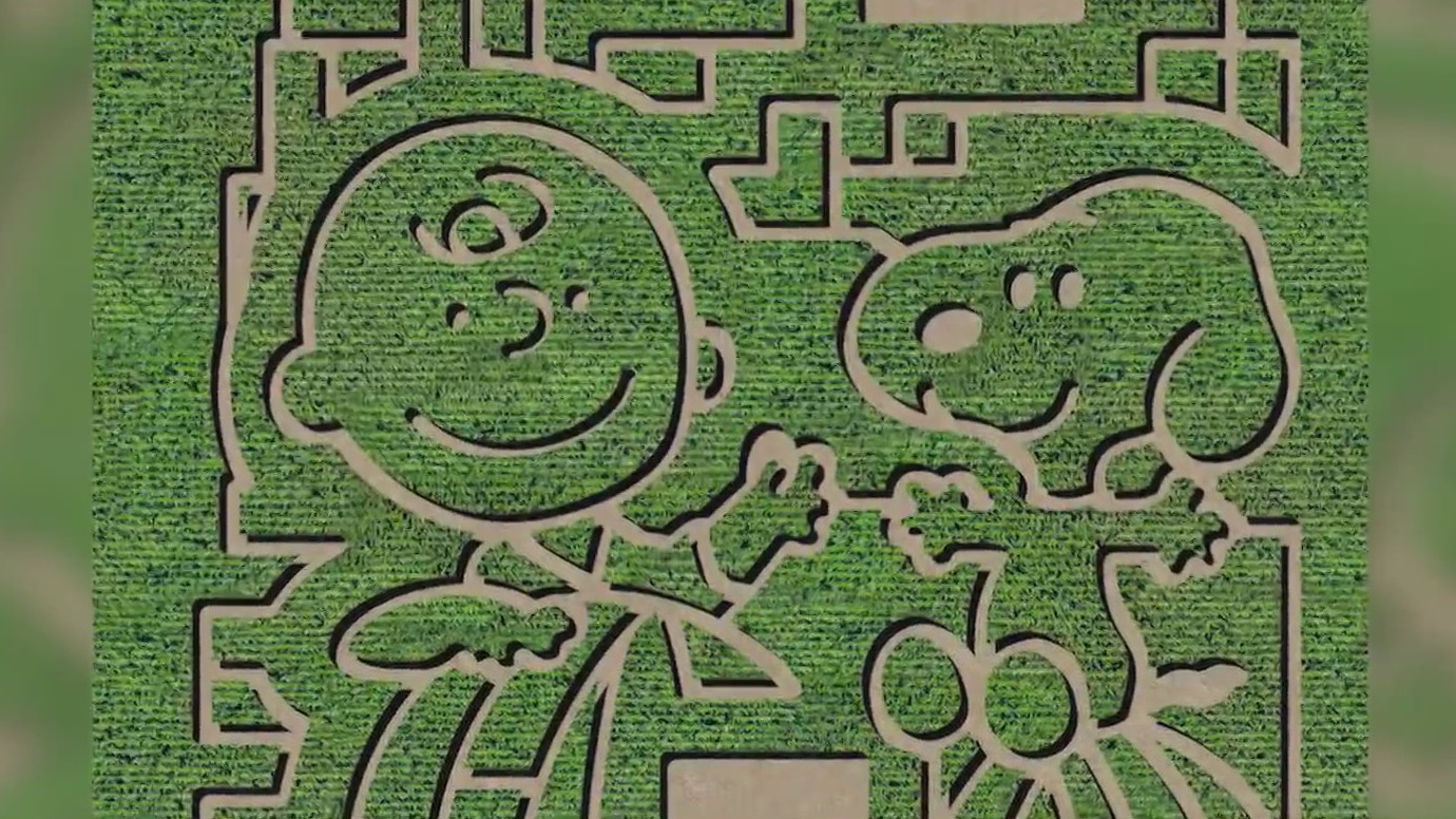 Snoopy-themed mazes to celebrate 75th anniversary of iconic comic strip ...