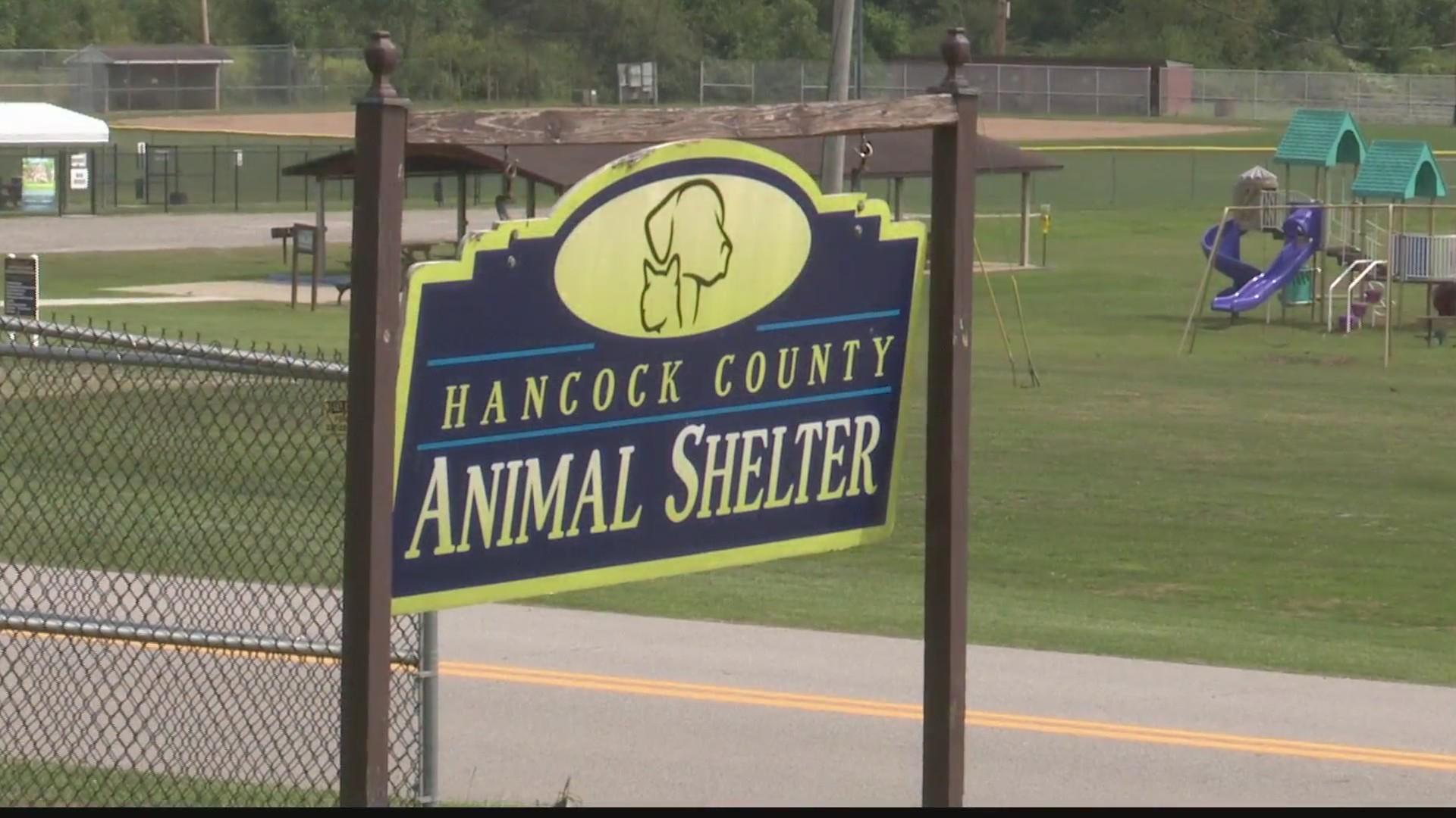 “Take Home Tuesdays” coming to Hancock County Animal Shelter this ...