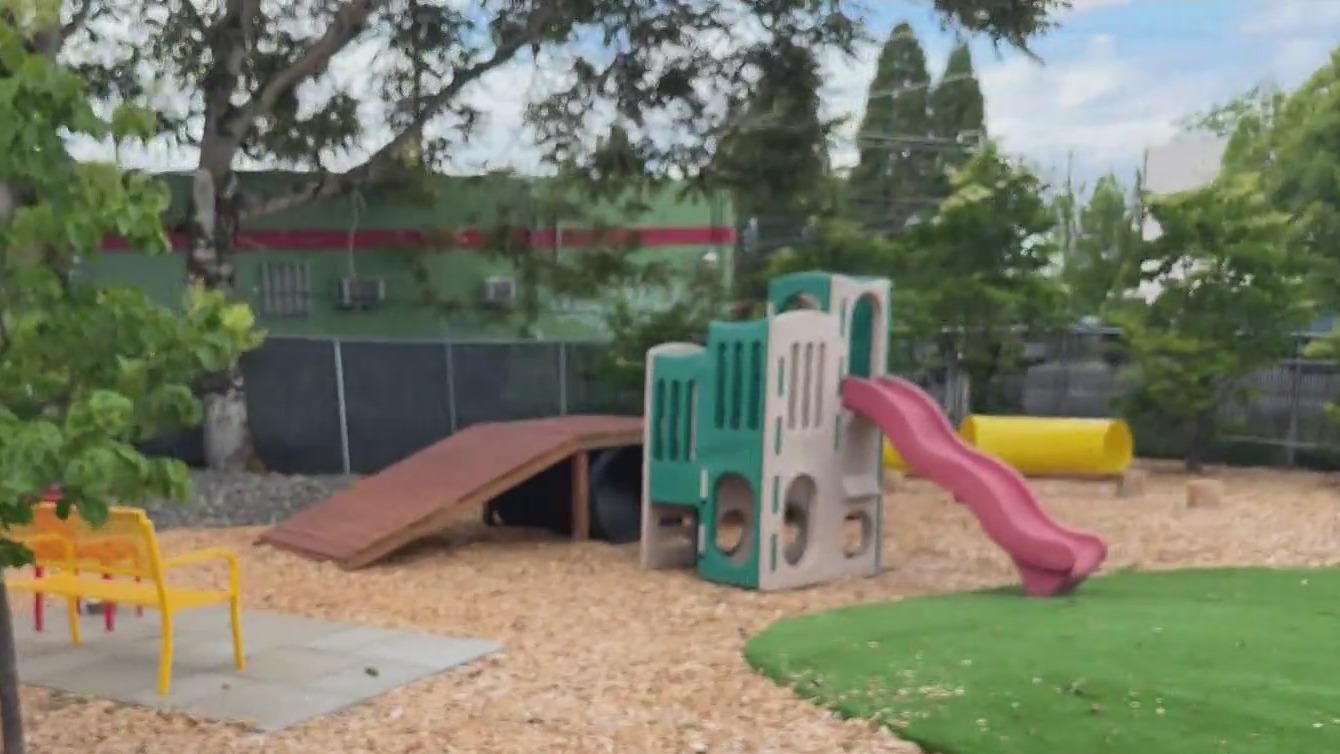 Level up your landscaping game – KOIN.com