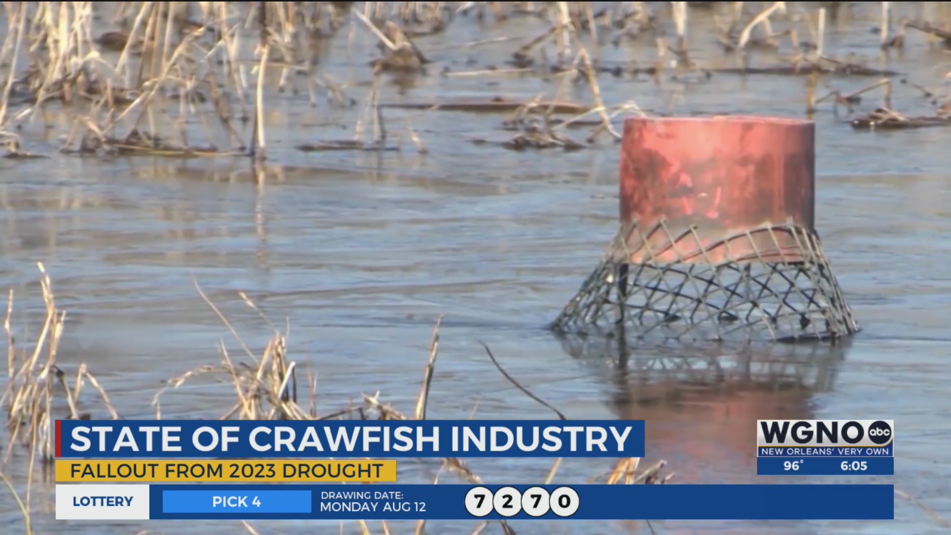 LA Ag Commissioner talks state of crawfish industry – WGNO