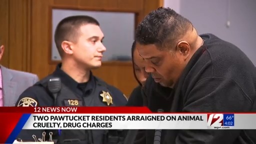 11 dogs seized after drug bust in Pawtucket – WPRI.com