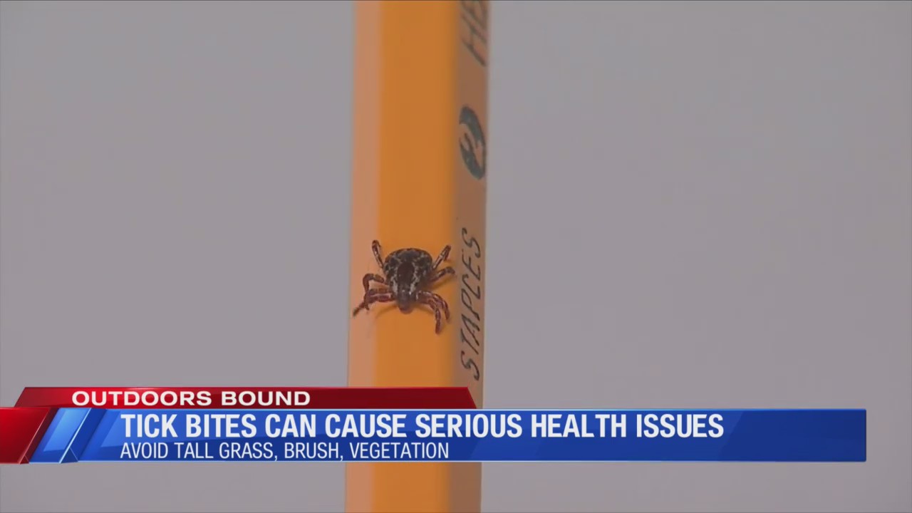 Tick Season in Virginia – WFXRtv