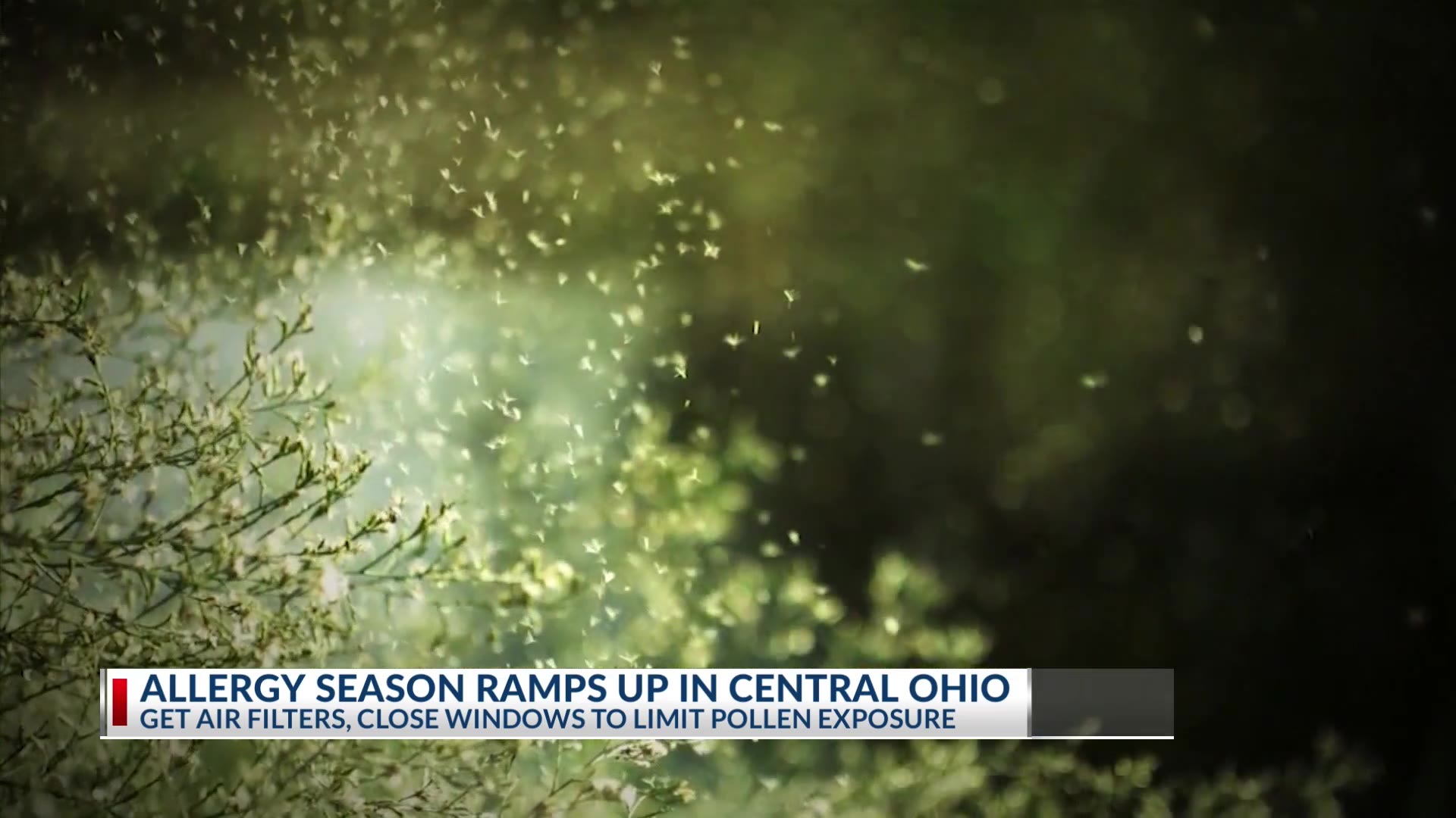 What to know as allergy season ramps up in central Ohio – NBC4 WCMH-TV