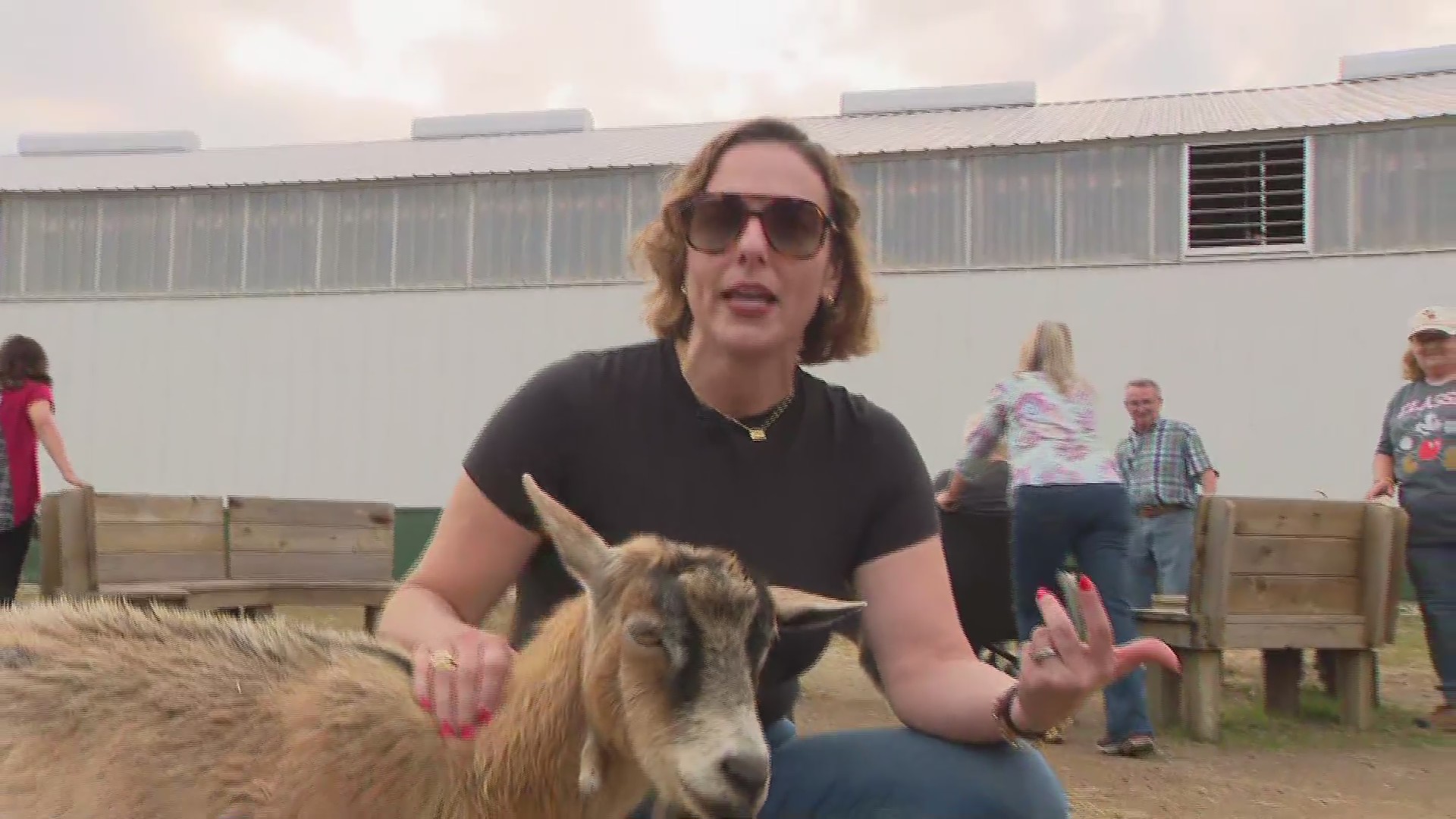 Around Town – Main Stay Therapeutic Farm – WGN-TV