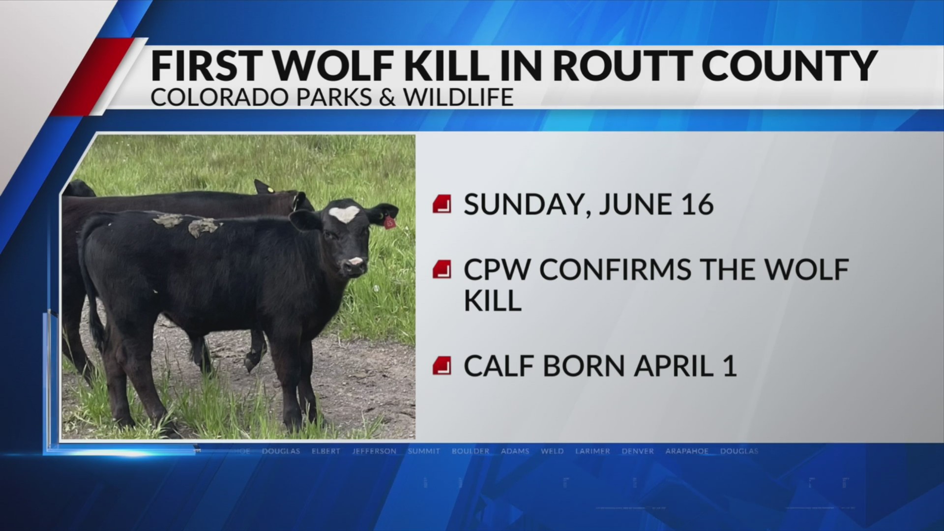 First wolf depredation in Routt County marks 10th in Colorado this year ...