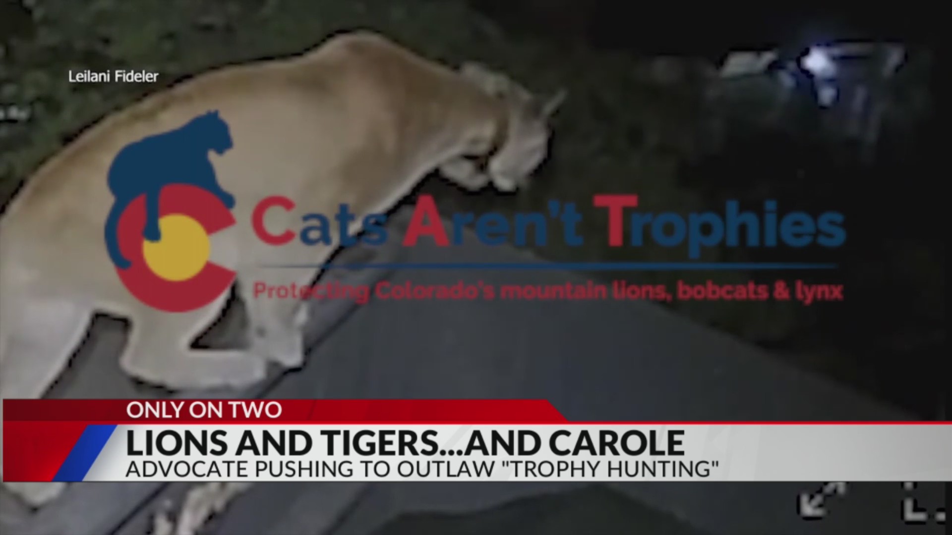 Carole Baskin brings her celebrity to Colorado in effort to ban trophy ...