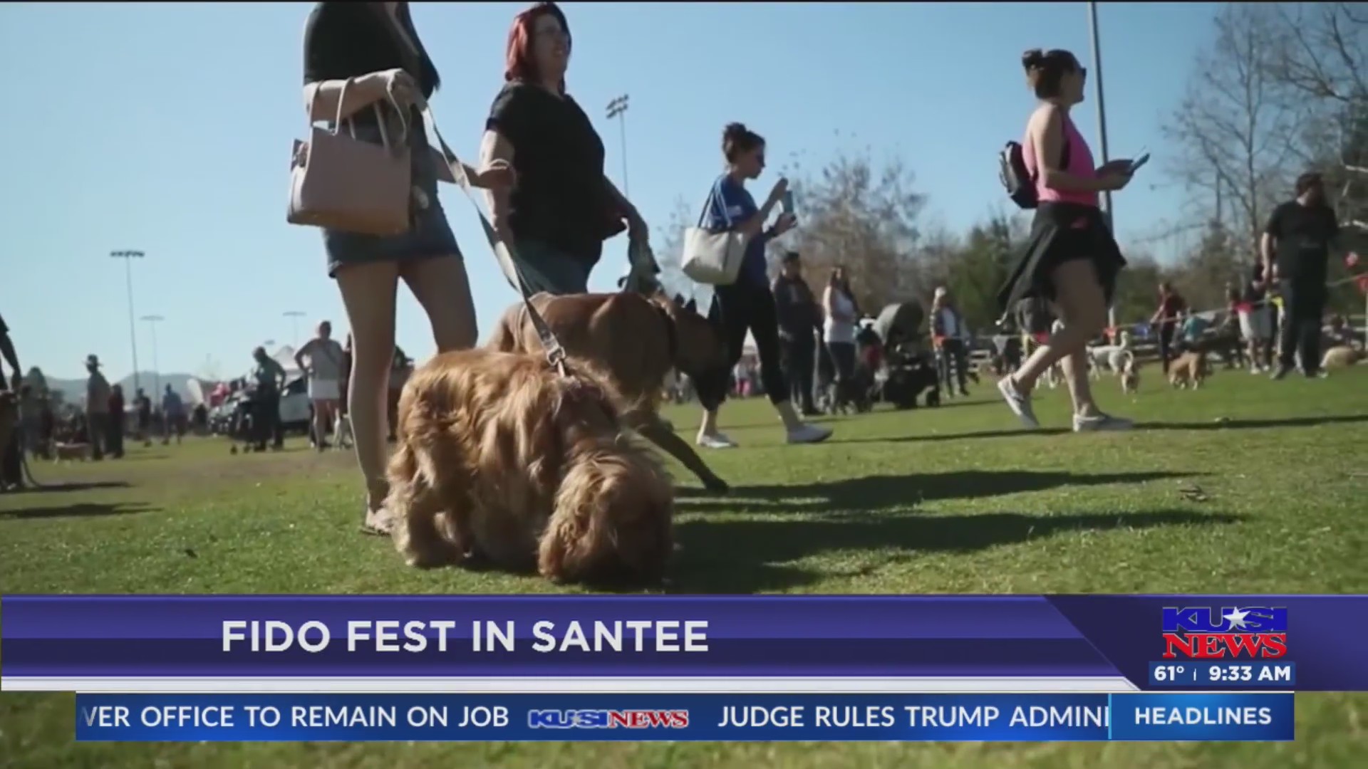 Fido Fest takes place in Santee – FOX 5 San Diego & KUSI News