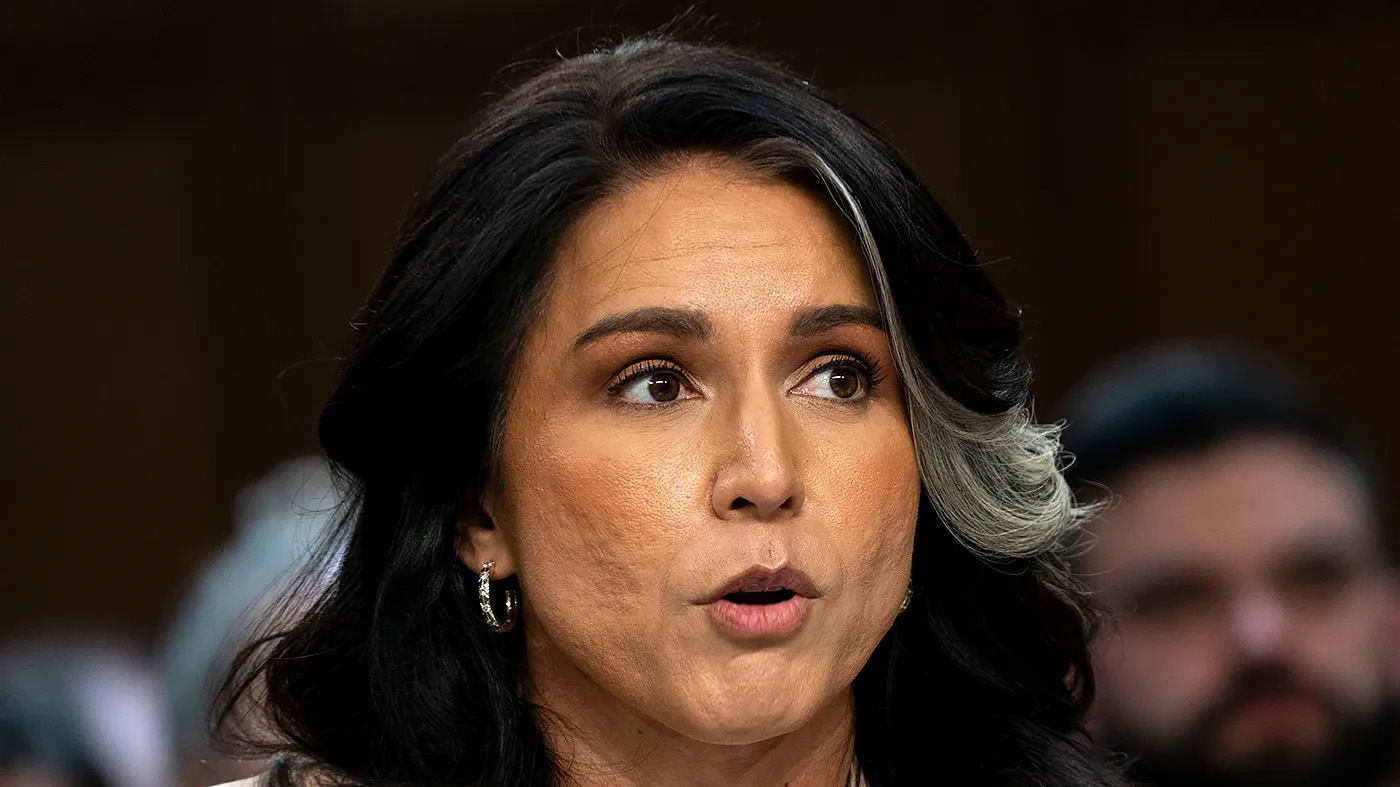 Gabbard says it was ‘mistake’ for reporter to be added to Signal group ...