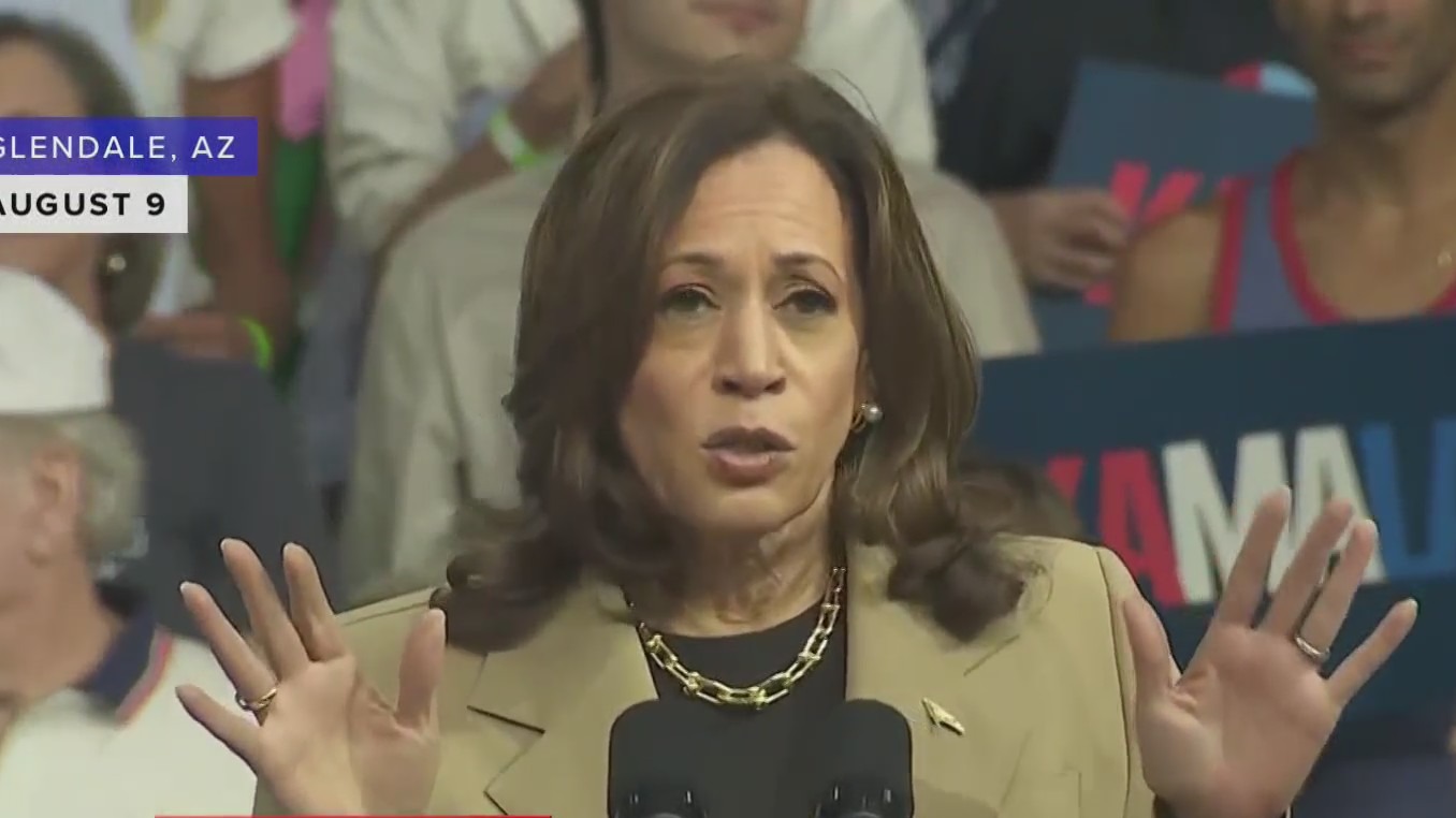 How will the Democratic Party handle protests during DNC? | On Balance ...