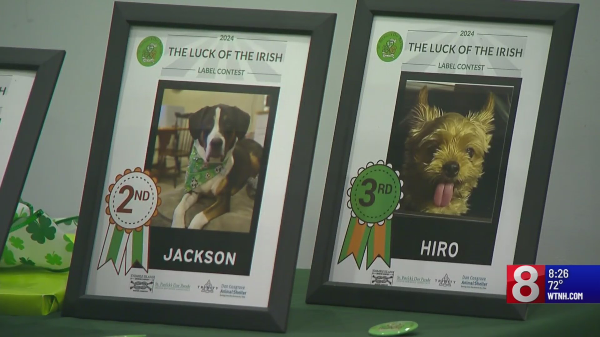 Cavachon named winner of Branford beer contest – WTNH.com