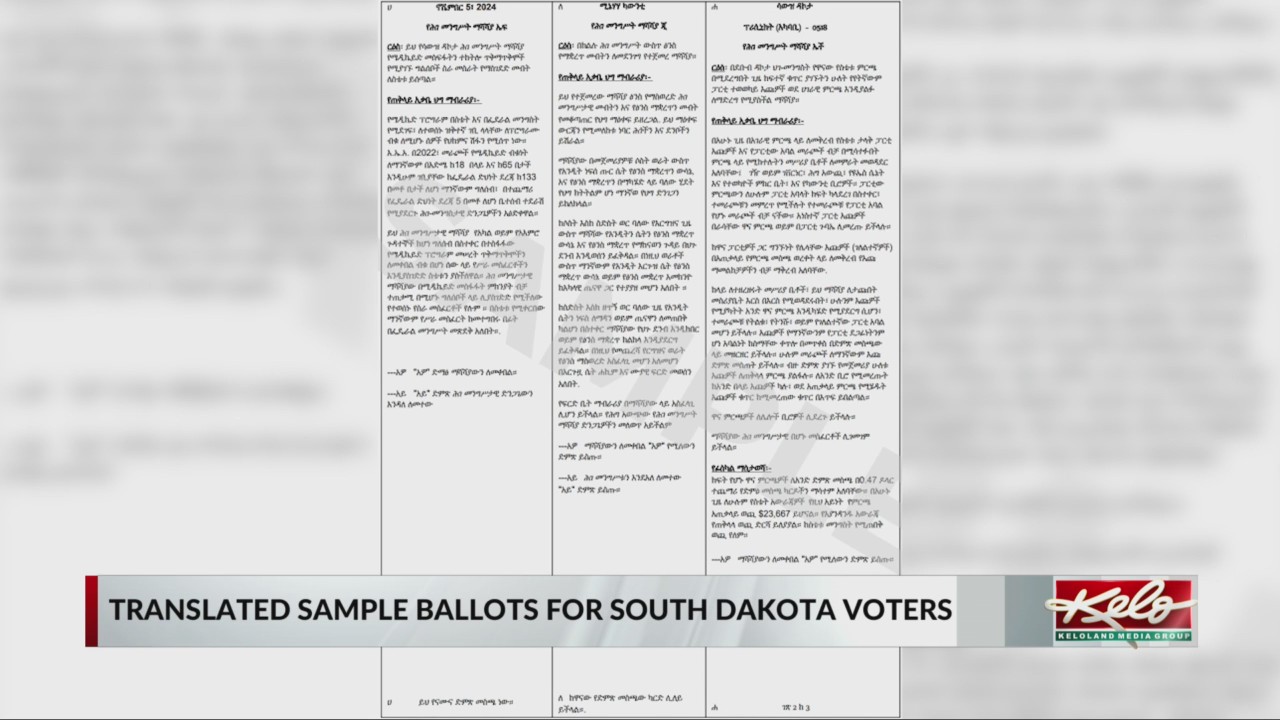 SD Voices for Peace translates sample ballot into 4 languages ...