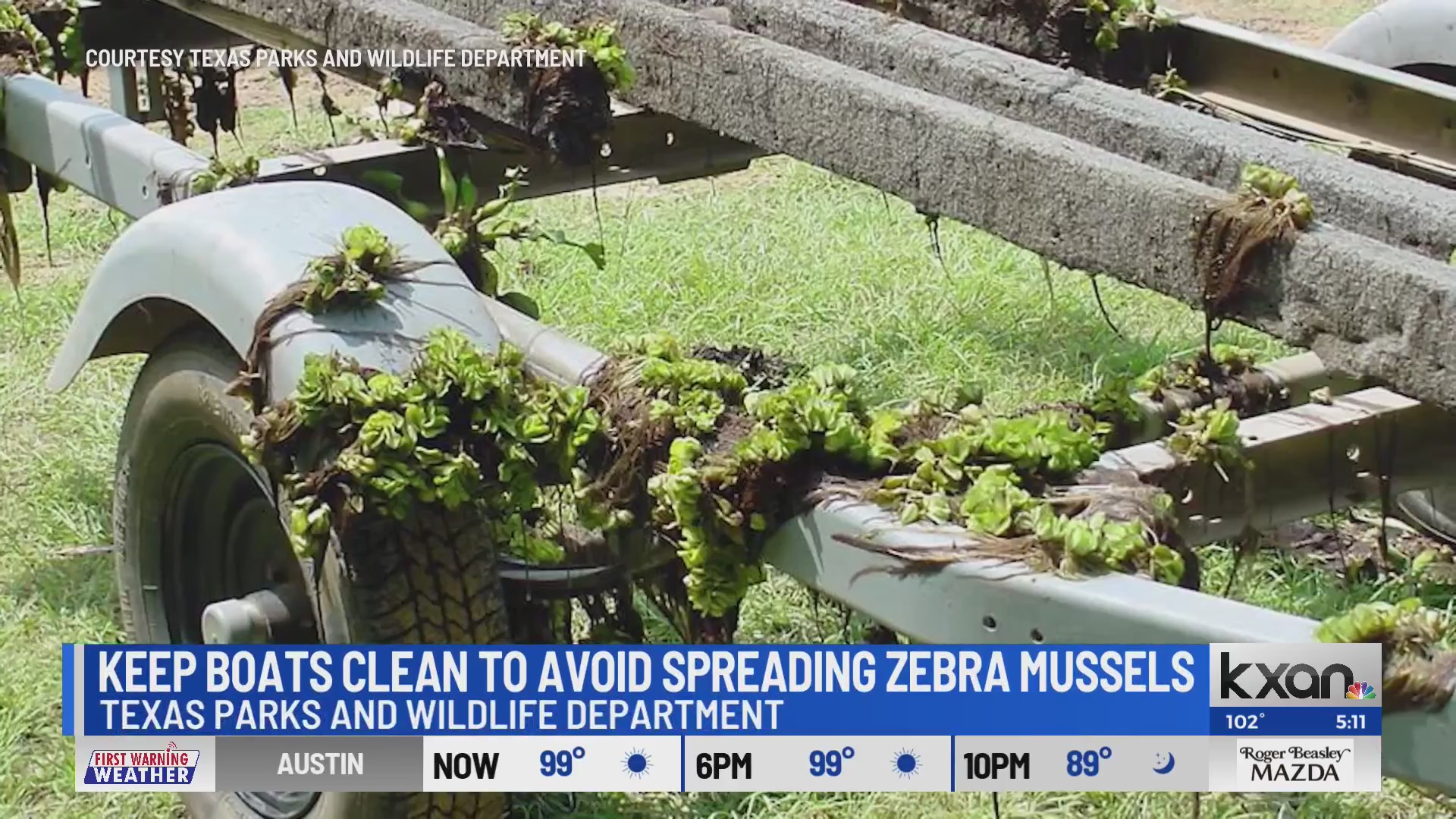 How boaters can help avoid the spread of zebra mussels this Fourth of ...