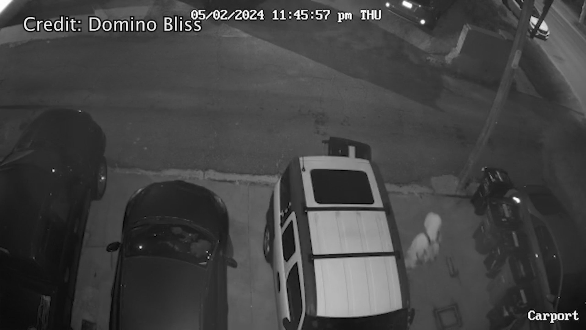 Neighbors believe a serial tire slasher is targeting cars in Capitol ...