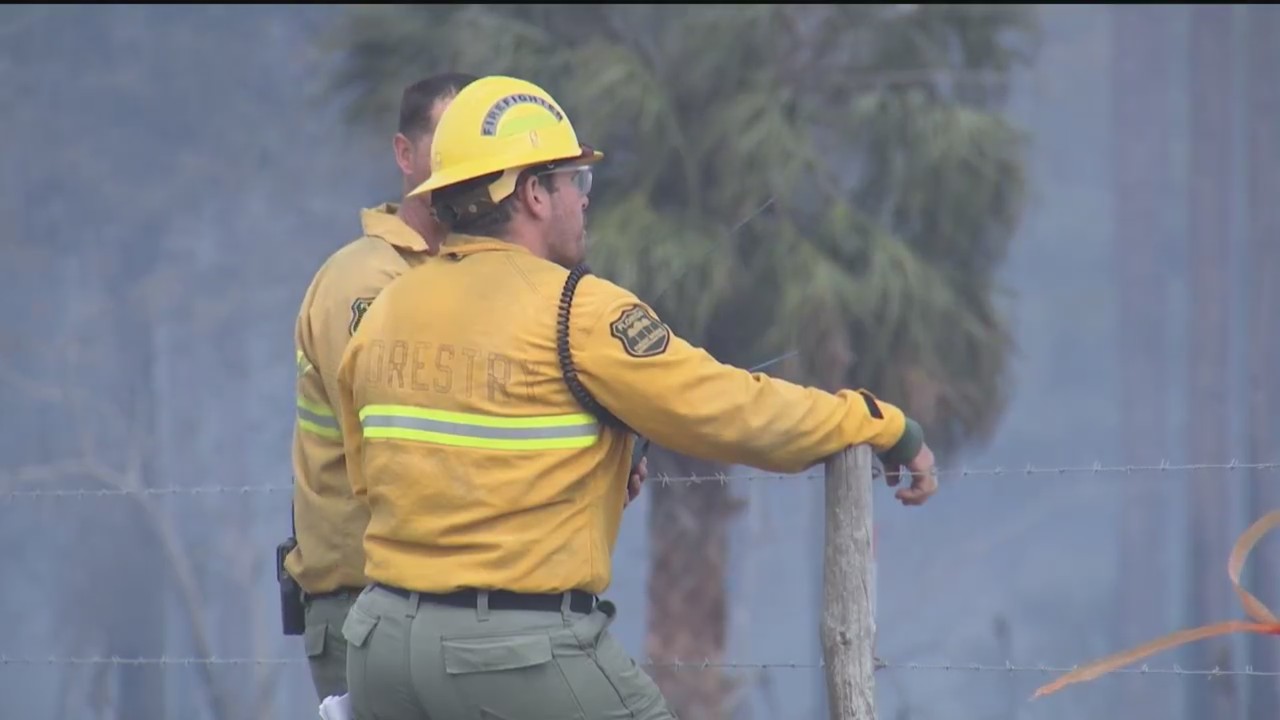 Florida Forest Service prepares for busy wildfire season – WFLA