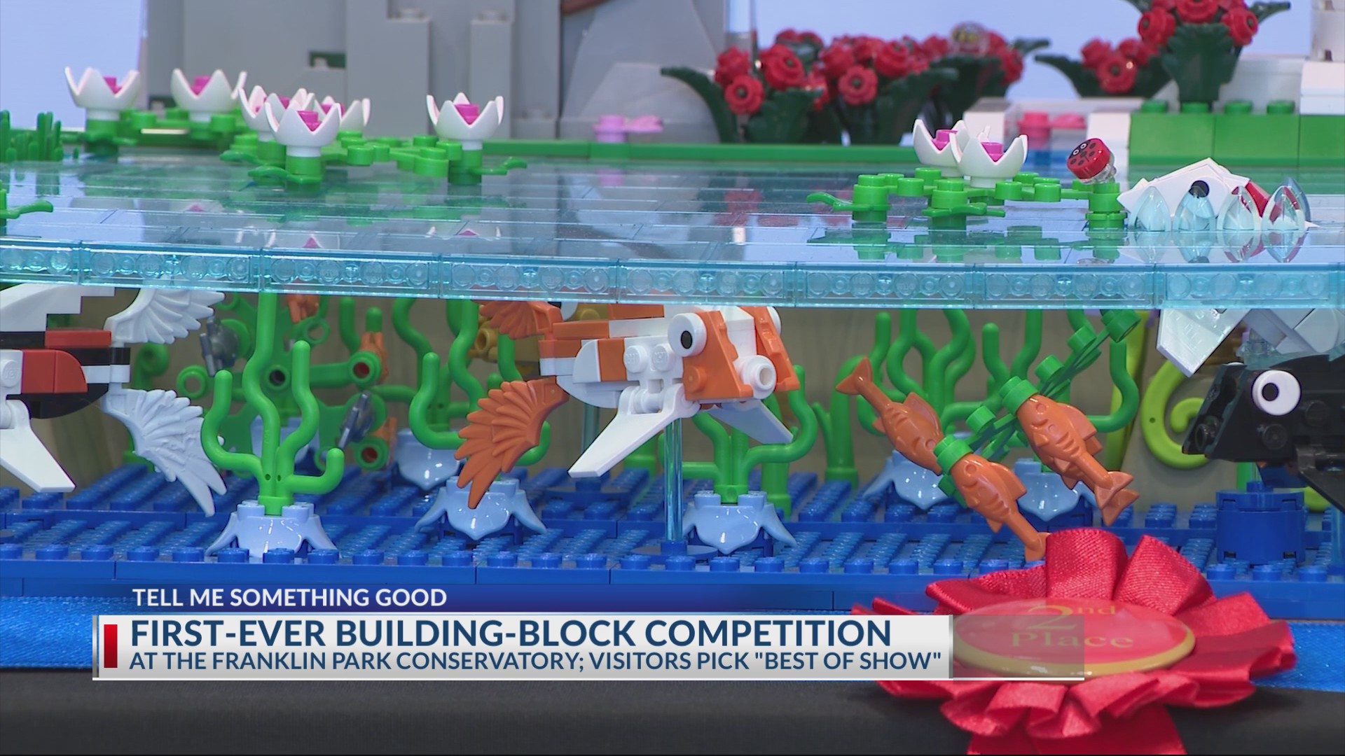 Brick-building competition at the Franklin Park Conservatory – NBC4 WCMH-TV