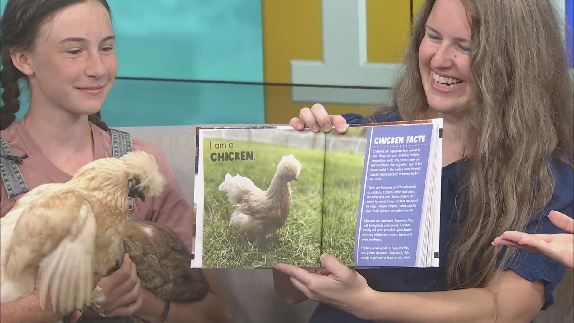 Meet the animals from Gooseberry Bridge Farm featured in Kizzi Roberts ...