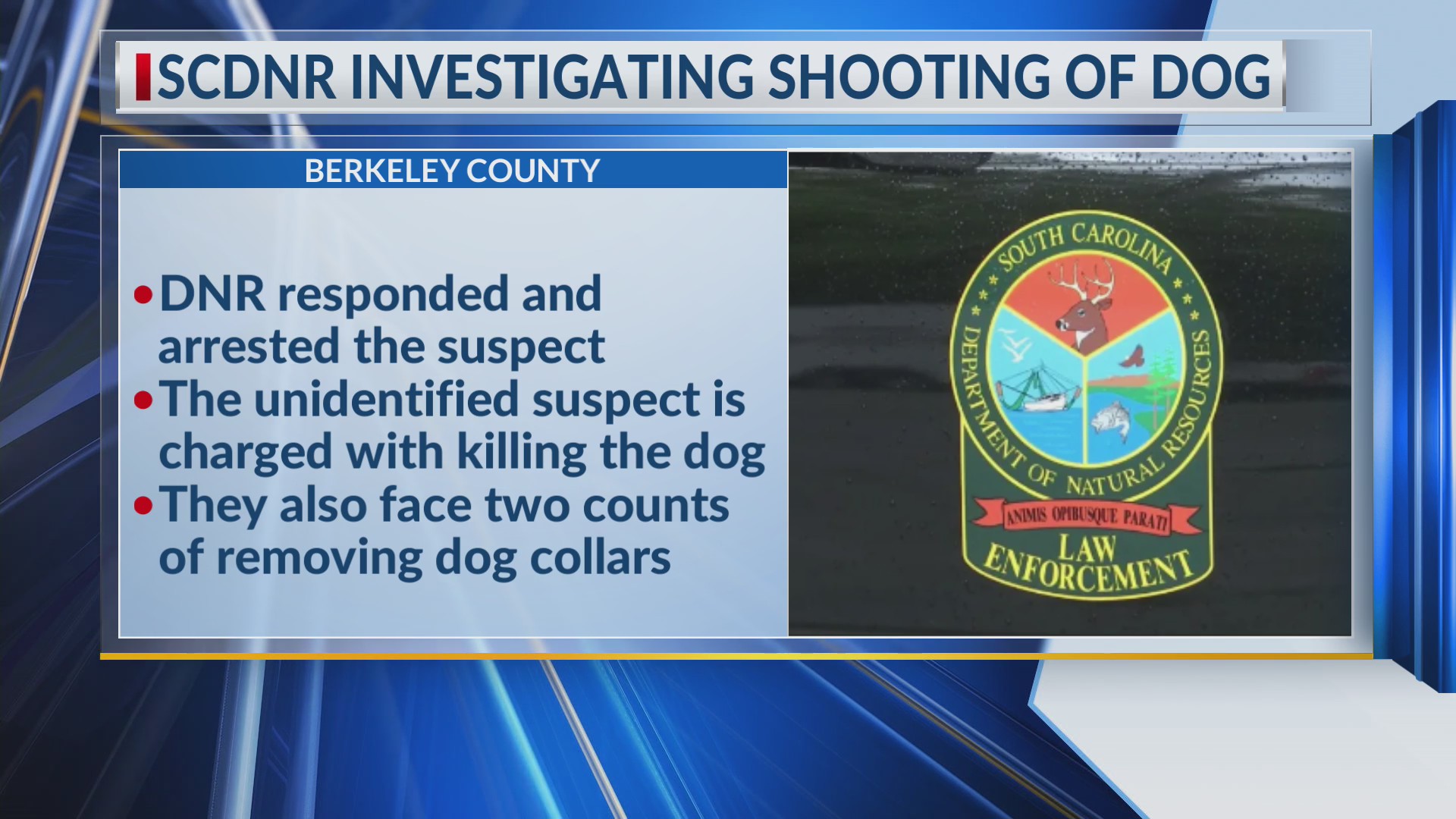 SC Dept. of Natural Resources investigating shooting of dog in Berkeley ...