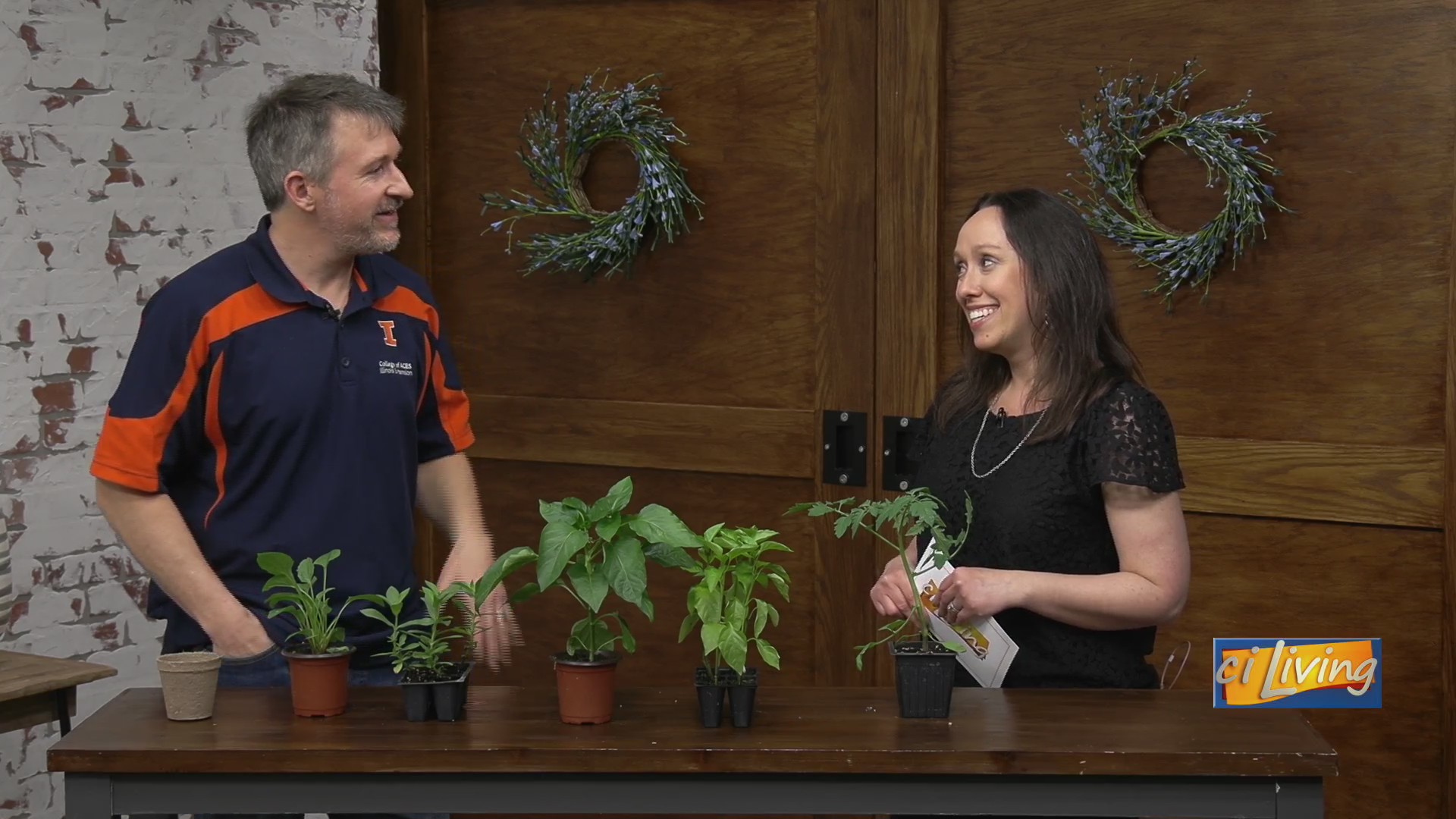 Myth vs. Reality: The Truth Behind Common Gardening Beliefs – WCIA.com