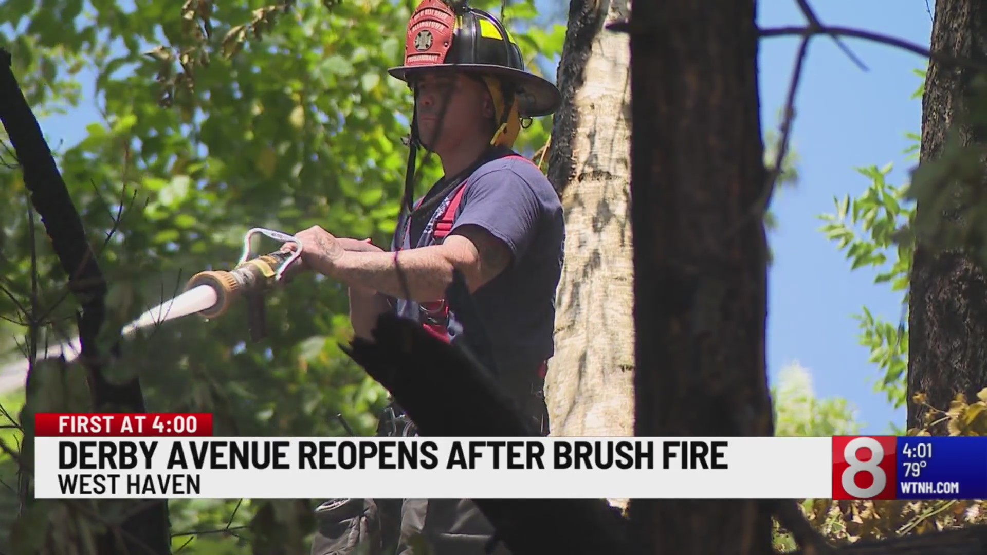 Road reopened after ‘large’ brush fire in West Haven – WTNH.com