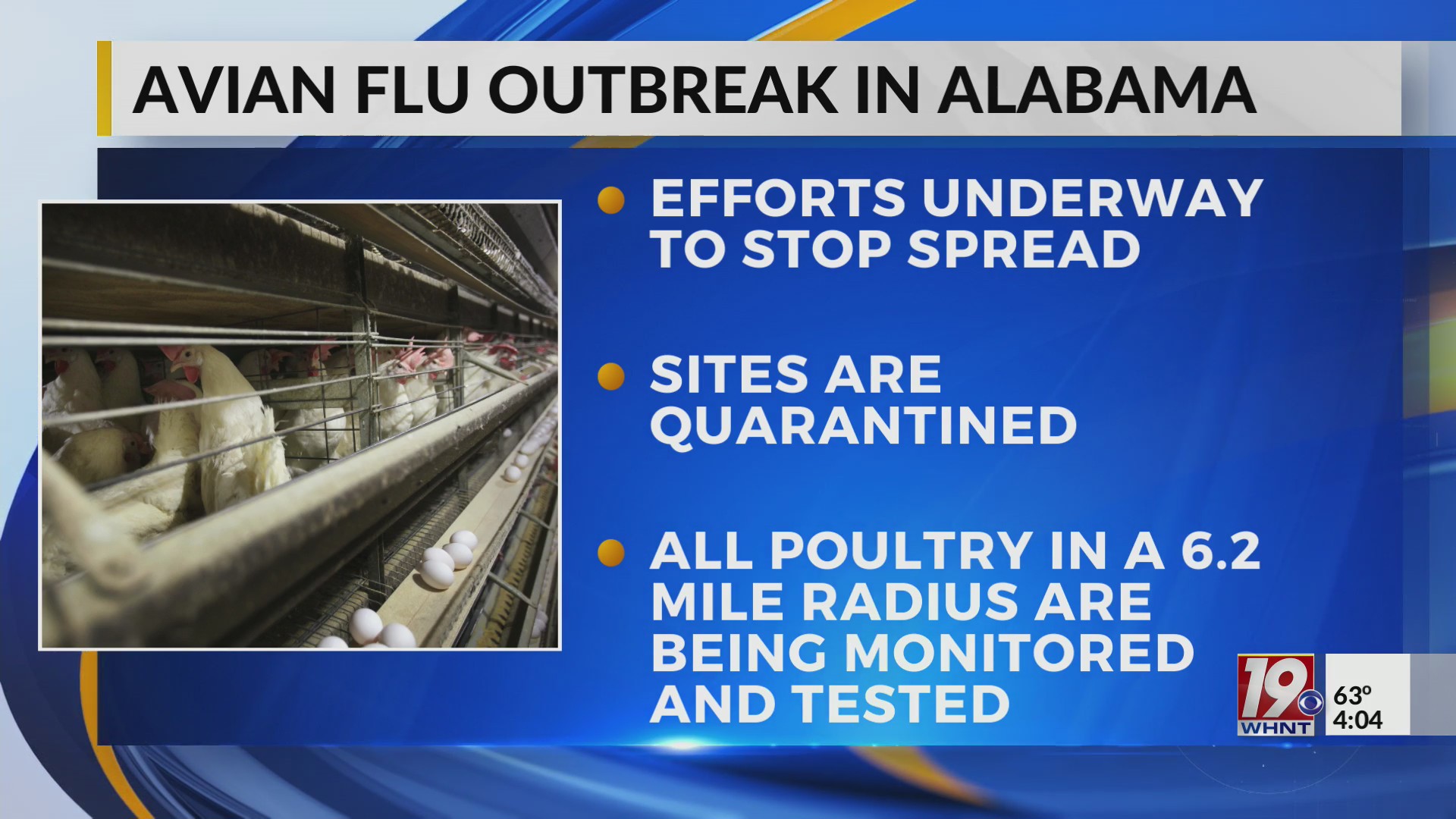 Avian Flu Outbreak In Alabama | December 16, 2024 | News 19 at 4 p.m ...