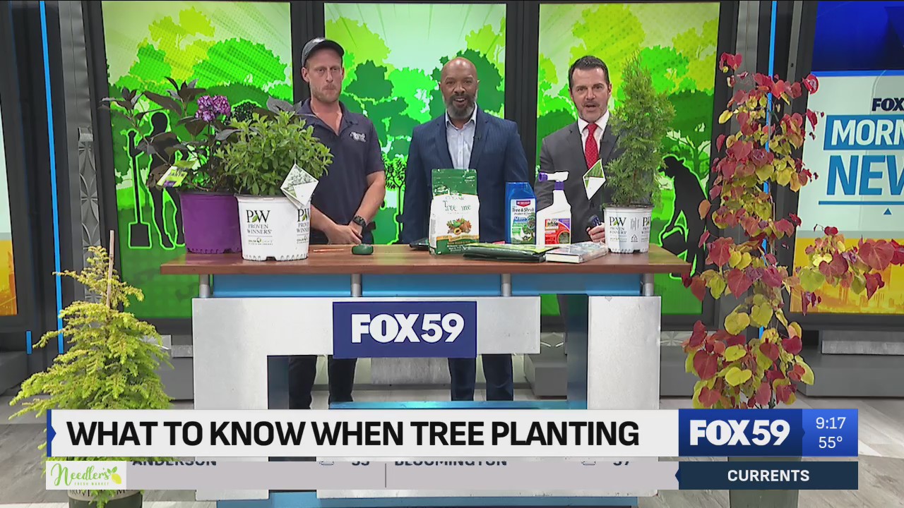What To Know When Tree Planting – Fox 59