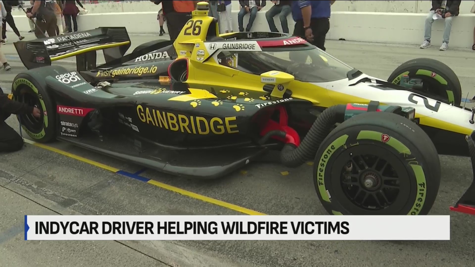 Andretti Global driver Colton Herta raises money for animal shelters ...