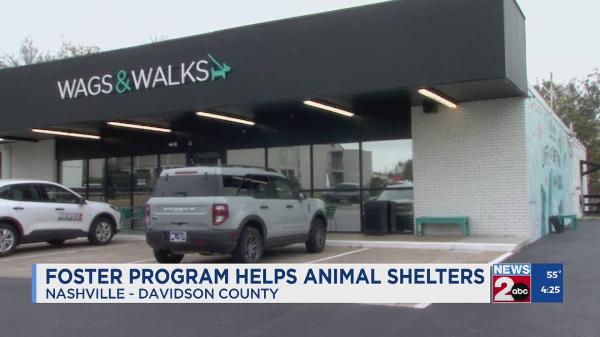 Wags & Walks: Foster program helping animal shelters – WKRN News 2