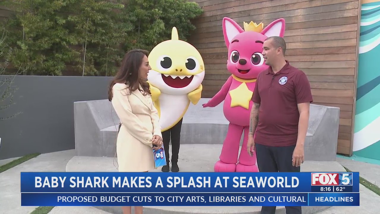 Baby Shark Makes a Splash at SeaWorld – FOX 5 San Diego & KUSI News