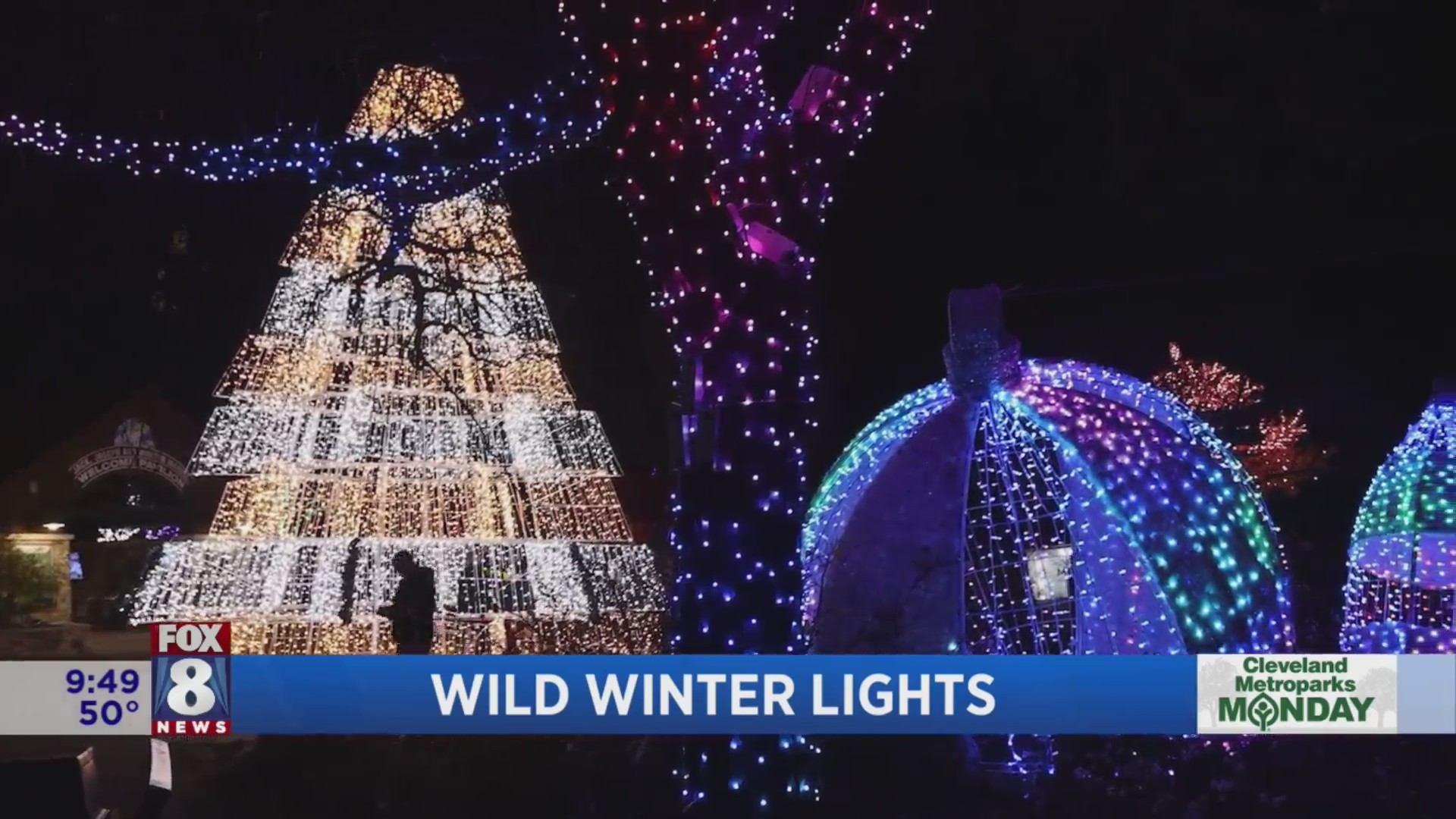 ‘Wild Winter Lights’ returns to the Cleveland Metroparks Zoo – Fox 8 ...