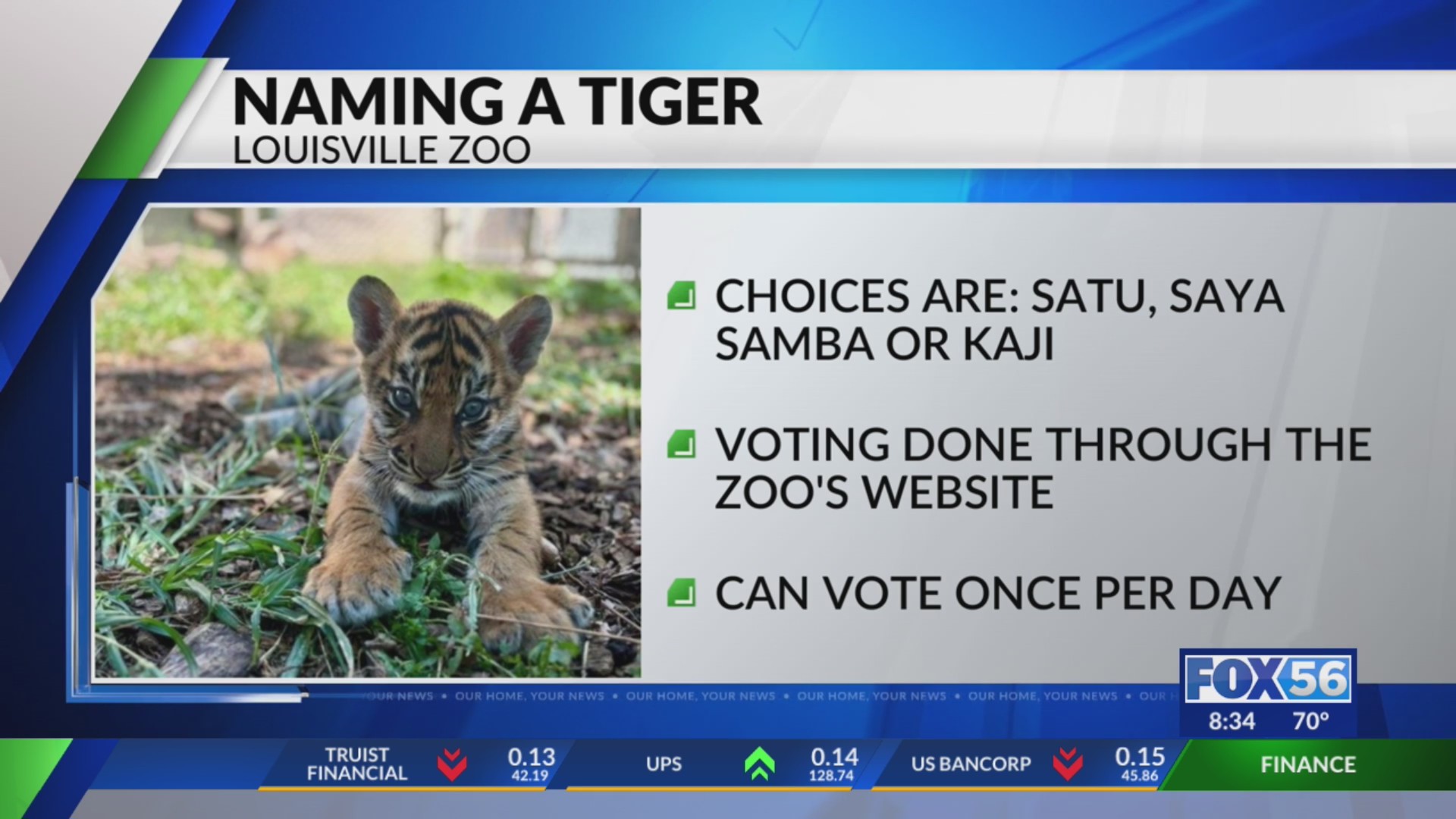 Ever wanted to name a tiger? The Louisville Zoo is asking for help ...