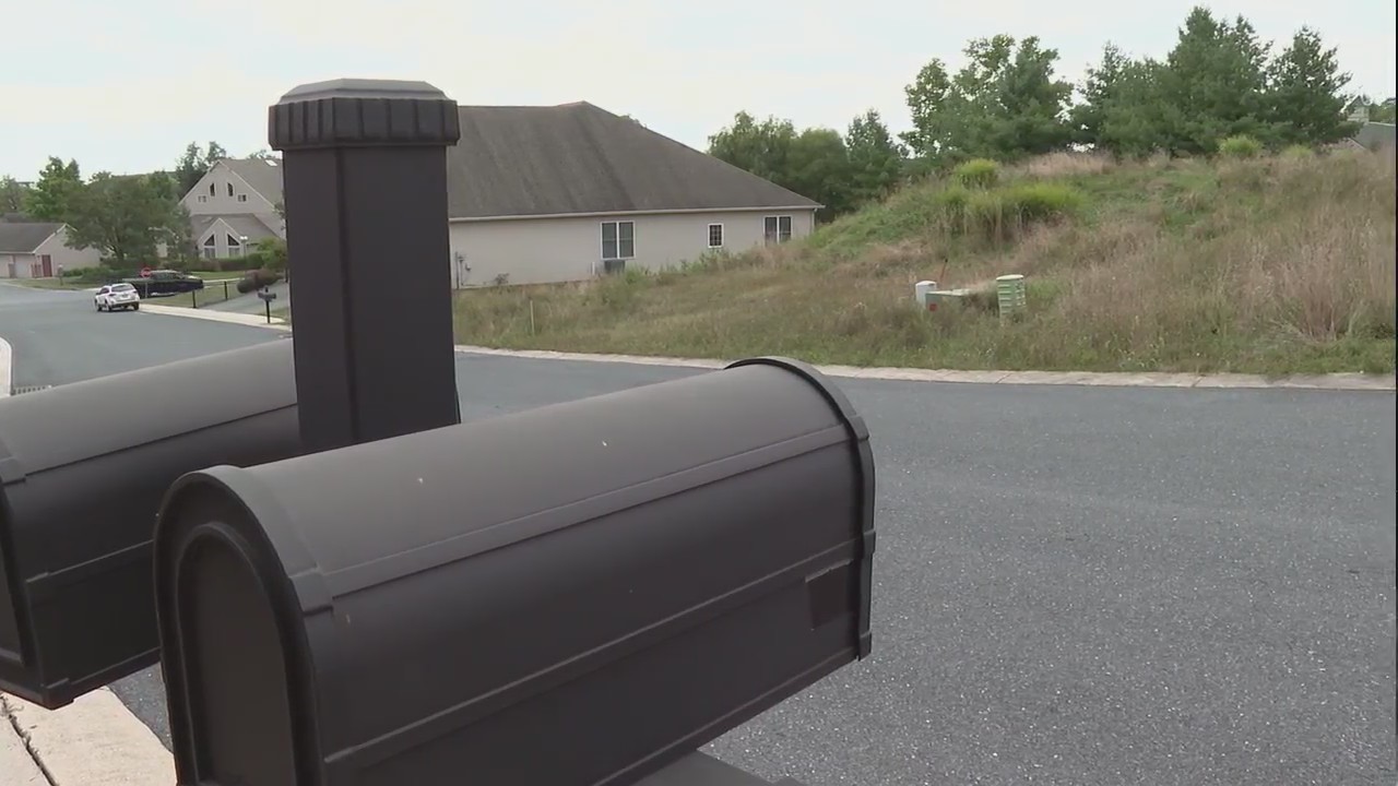 ‘A health hazard, never mind an eyesore’: Dauphin County neighbors call ...