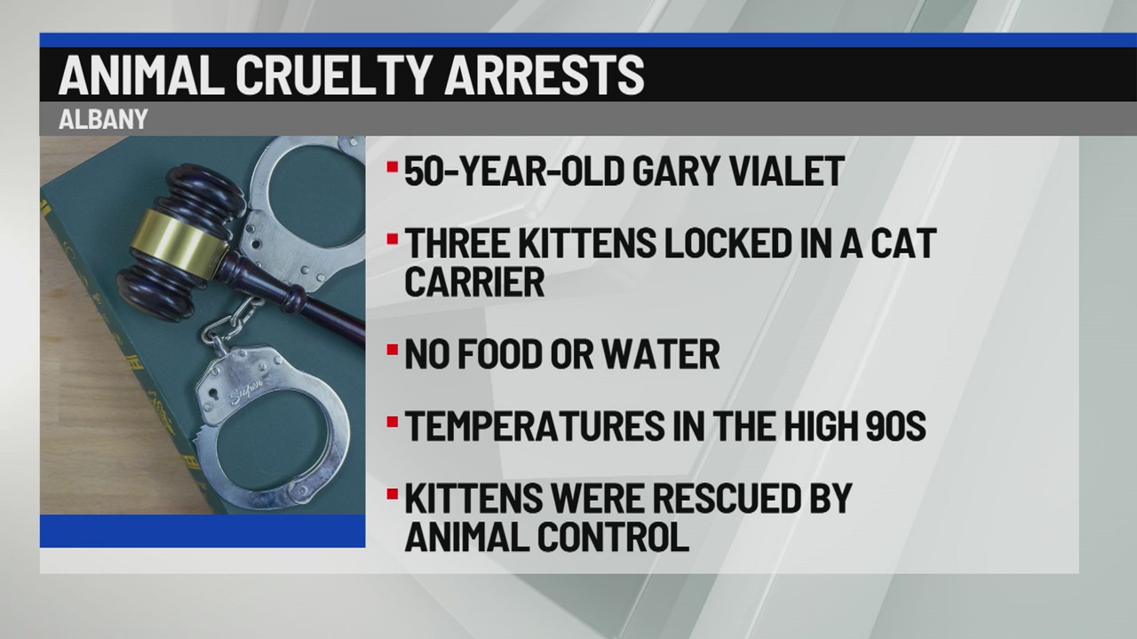 Arrests made in 2 separate Albany animal cruelty cases – NEWS10 ABC