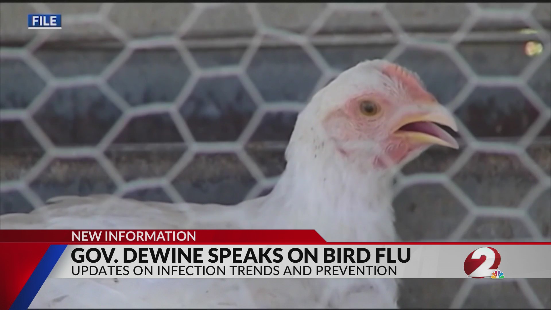 Ohio Gov. Mike DeWine gives update on bird flu infection and prevention ...