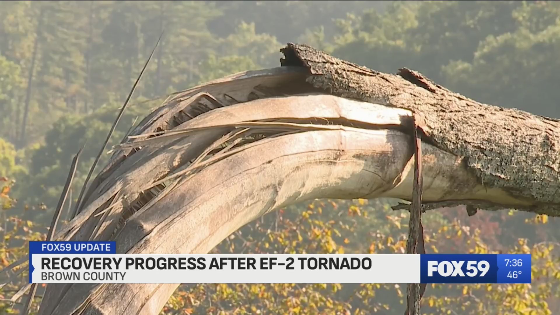 Brown Co. State Park tornado recovery as busy fall season begins – Fox 59