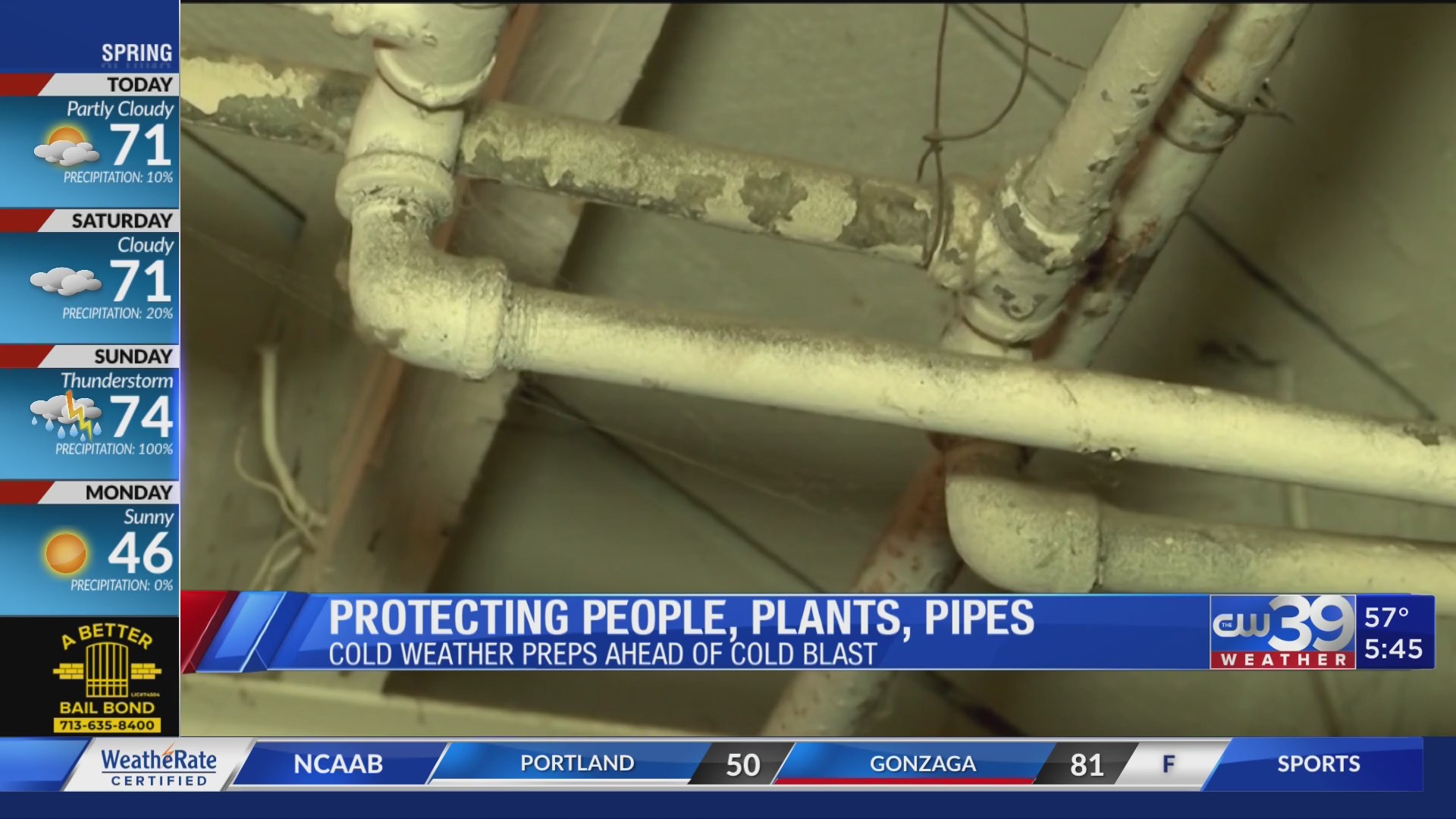 Arctic air coming, so protect people, plants, pipes & pets | CW39 ...