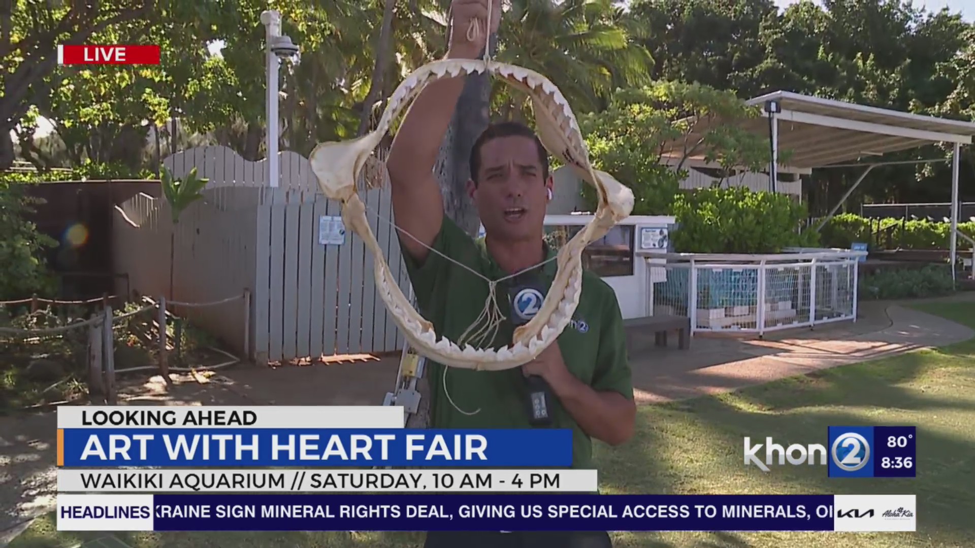 Art with Heart Craft Fair – KHON2