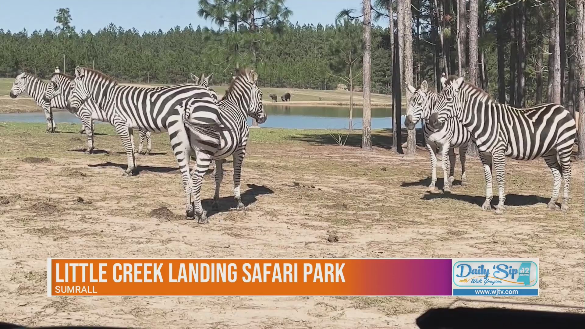 Little Creek Landing Safari Park – WJTV