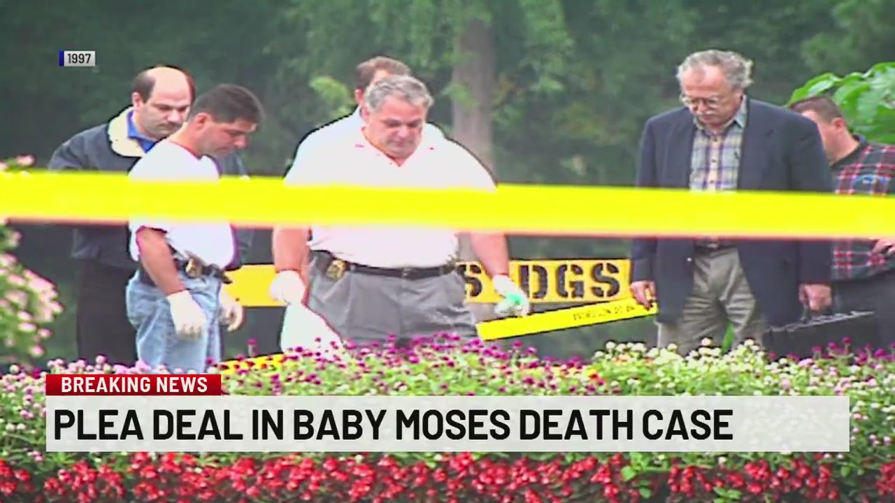 Plea deal reached in Baby Moses case – NEWS10 ABC