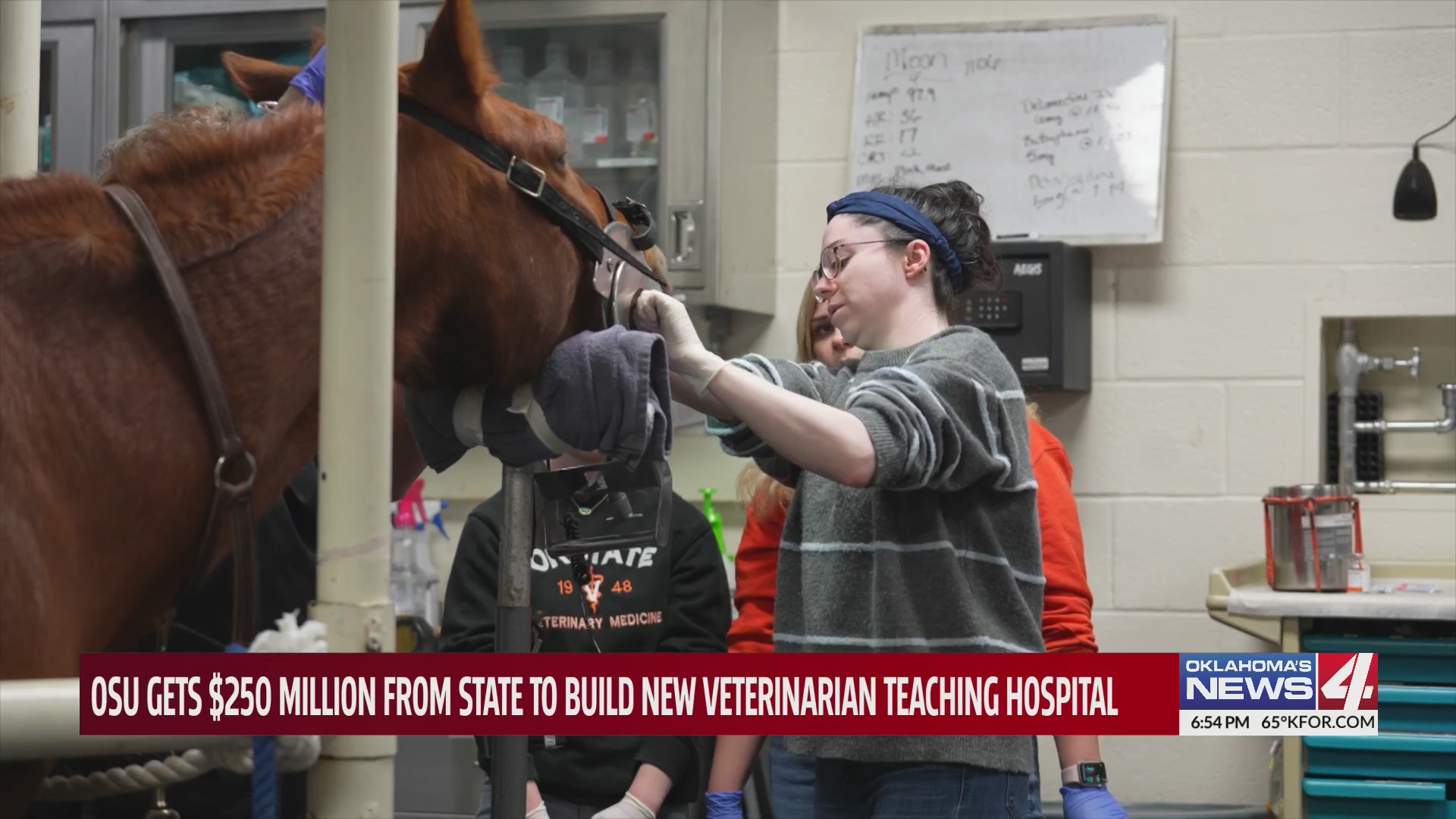 OSU gets $250 million from state to build new veterinarian teaching ...