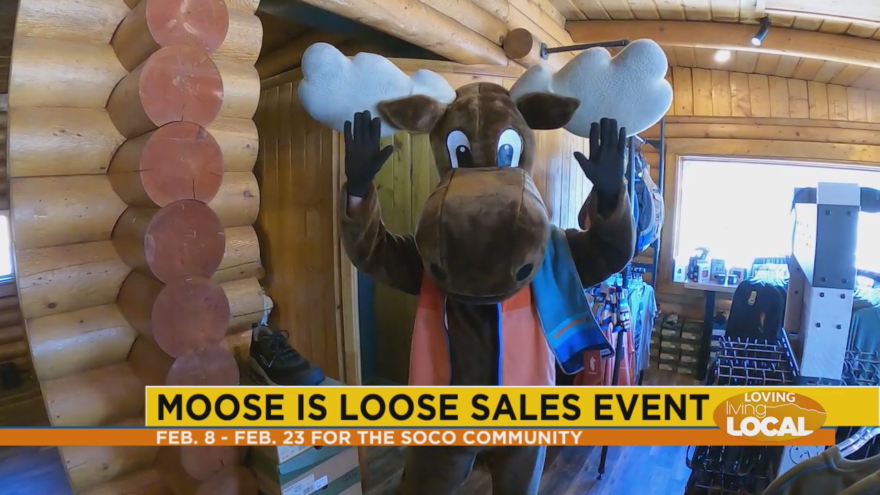 Moose Is Loose Sale Event – Loving Living Local – FOX21 News Colorado