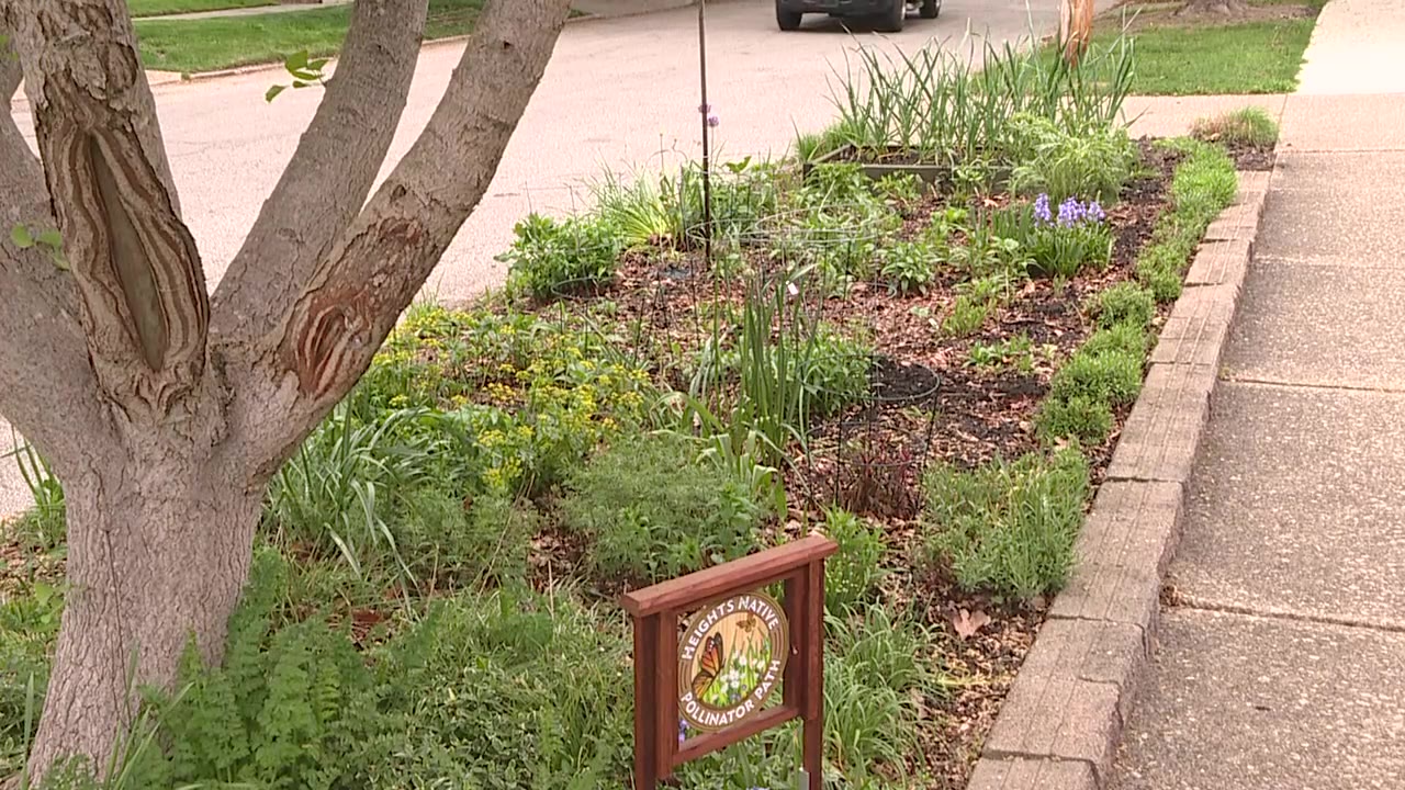 Local residents encouraged to make space for native plants in their ...