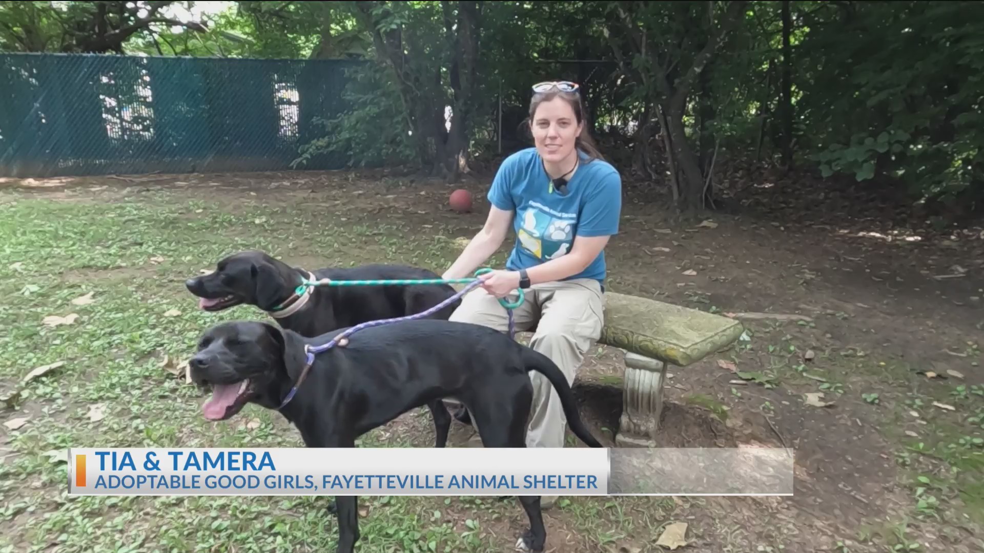 Purina Presents: Meet Tia & Tamera Pet of the Week – KNWA FOX24