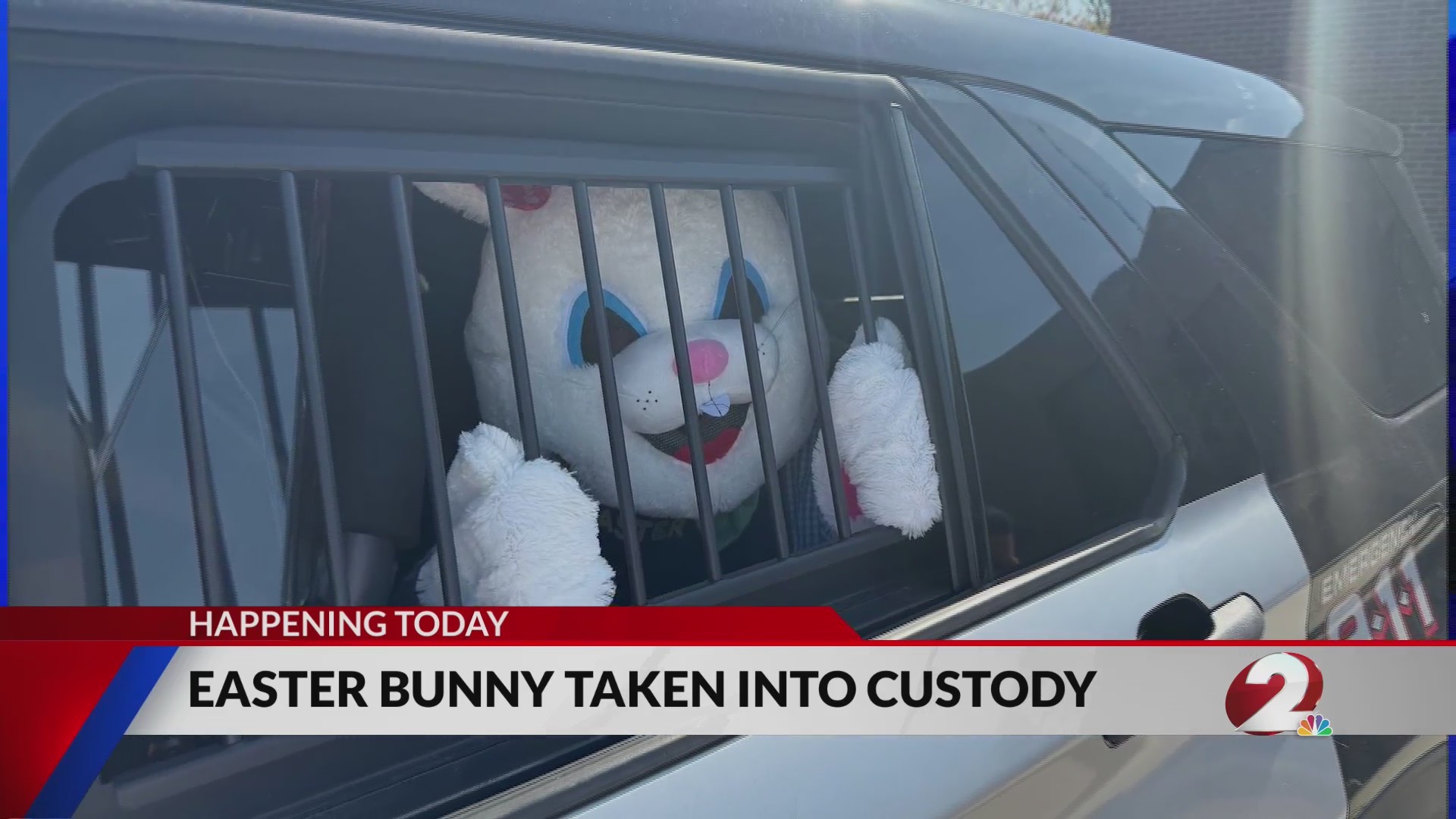 Easter Bunny taken into custody – WDTN.com