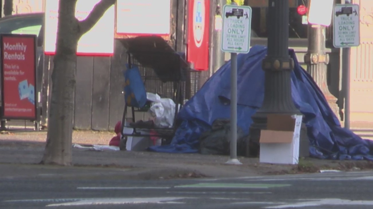 Mayor Wilson’s plan to end homelessness draws mixed reactions from city ...