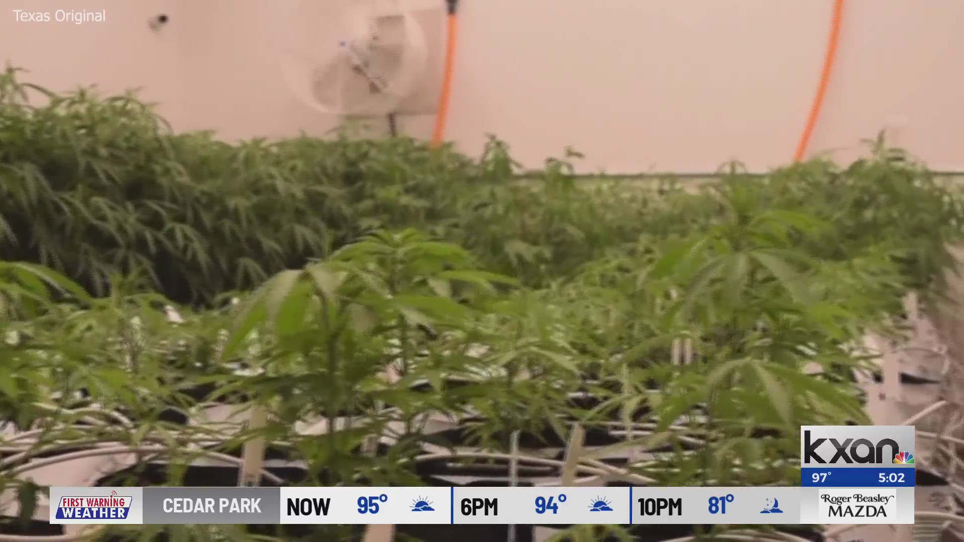 Lawmakers hope to expand medical marijuana program as state bans ...