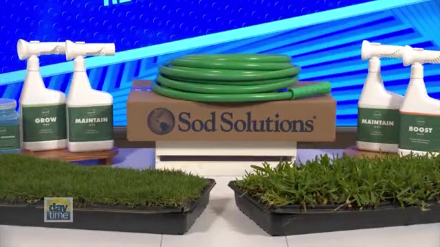 3 ways to win Spring green-up in the south | Daytime – WFLA